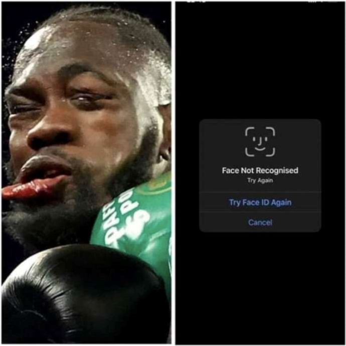 Tyson Fury vs Deontay Wilder 3: Bronze Bomber received brutal meme ...