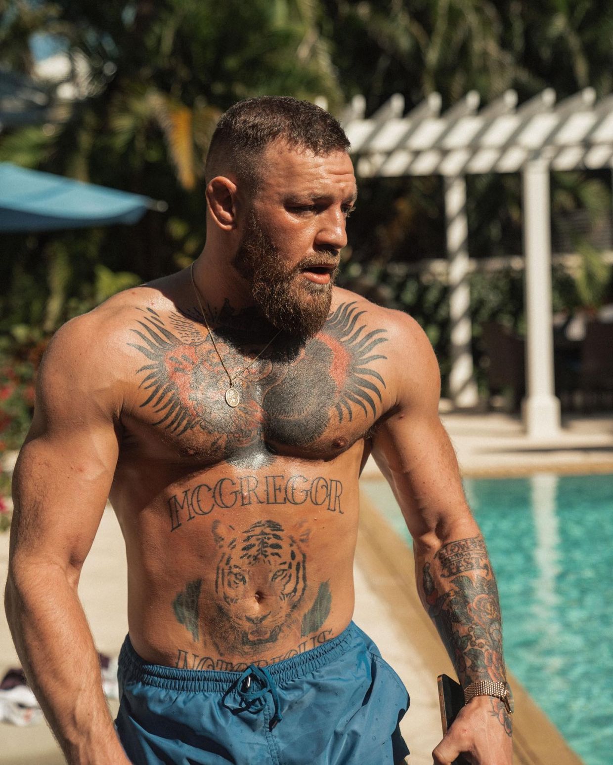 Conor McGregor body transformation: New images highlight dramatic change