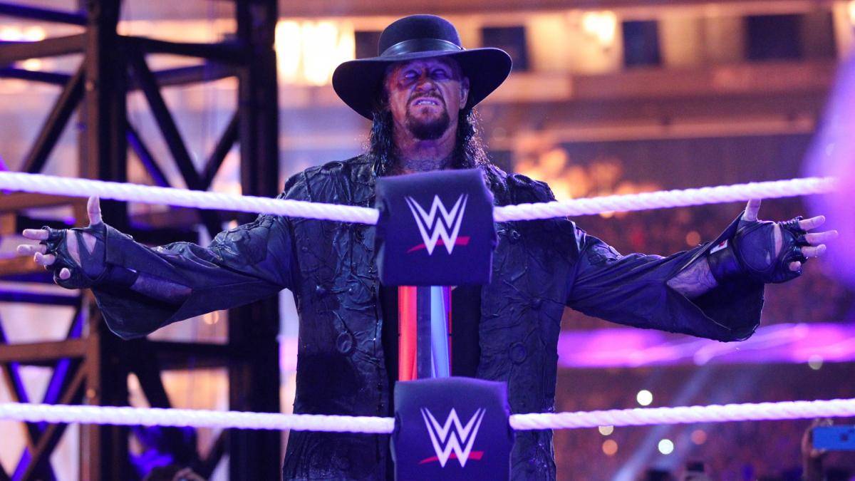 WWE: The Undertaker reveals which polarising star he is 'really high on'
