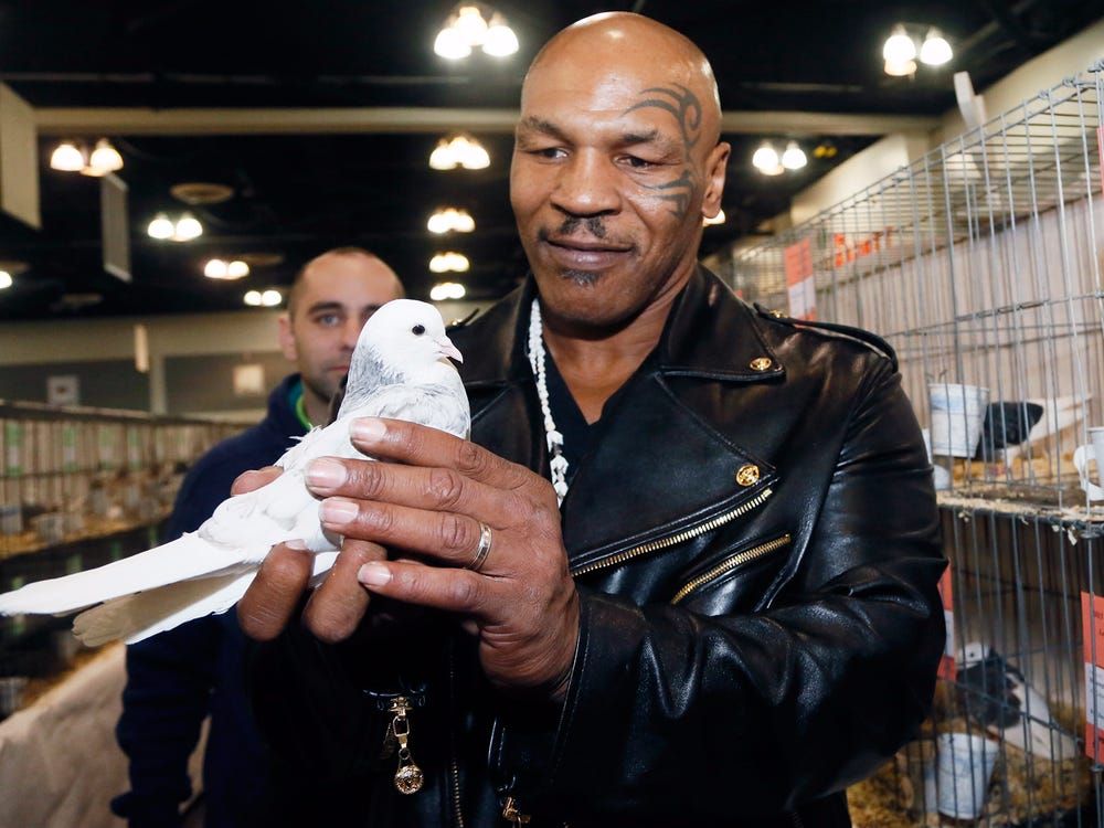 Mike Tyson's bizarre tweet about pigeons goes viral