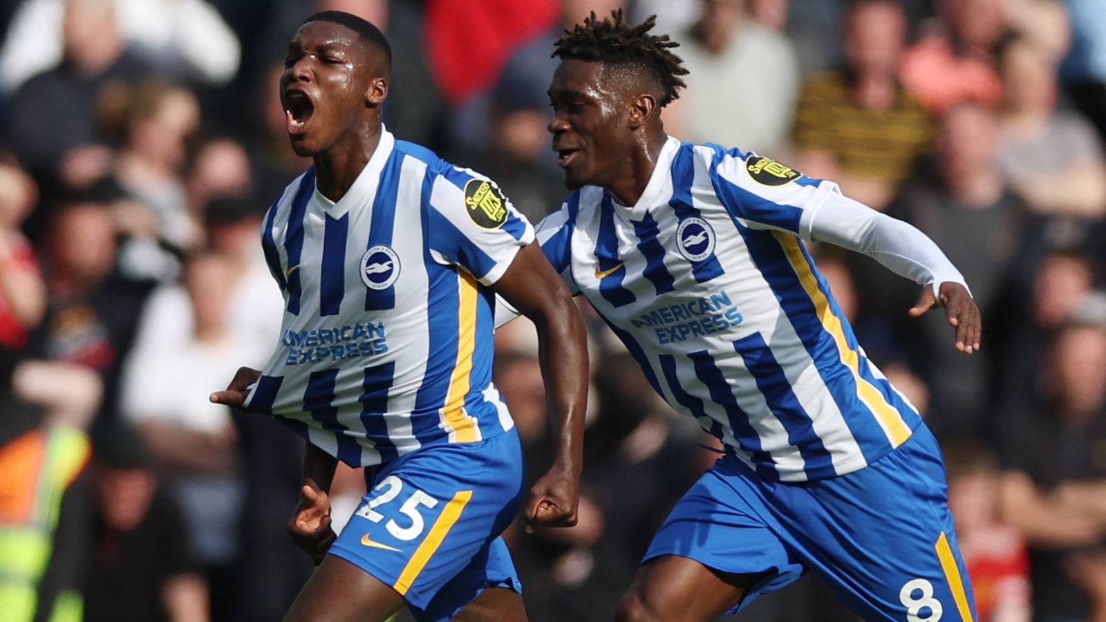 Brighton: 15 quiz questions every Seagulls fan should be able to answer