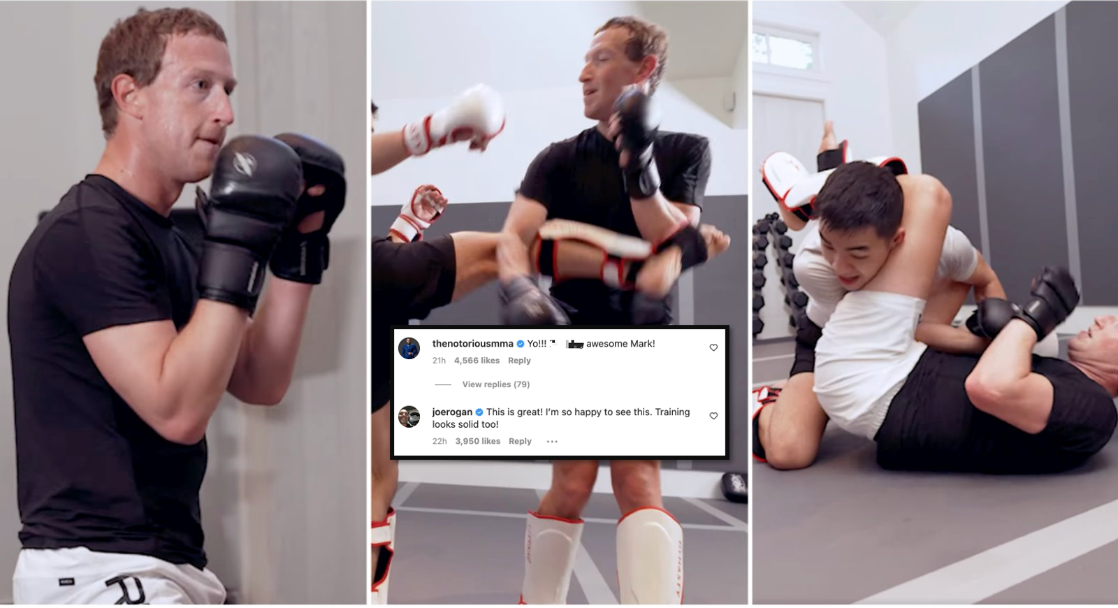 Conor McGregor & Joe Rogan praise Mark Zuckerberg's MMA training clip