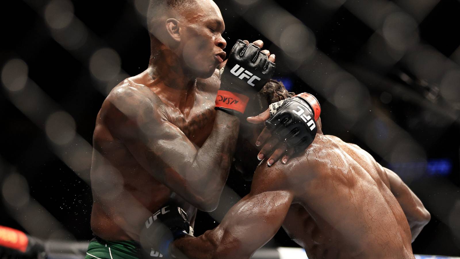 Who is the number 1 UFC fighter right now?