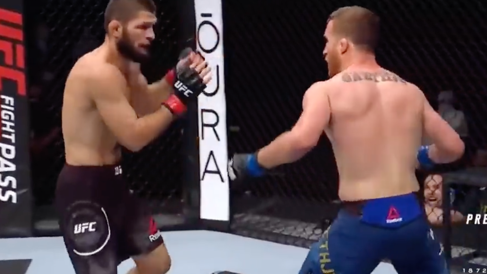 UFC: Khabib Nurmagomedov's insane chin highlighted in impressive clip