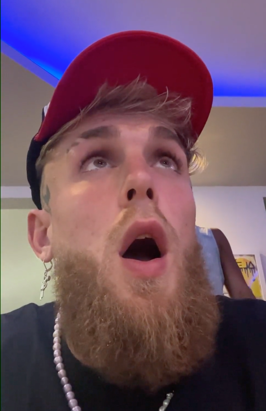 Deontay Wilder's KO of Robert Helenius gets reaction from Jake Paul