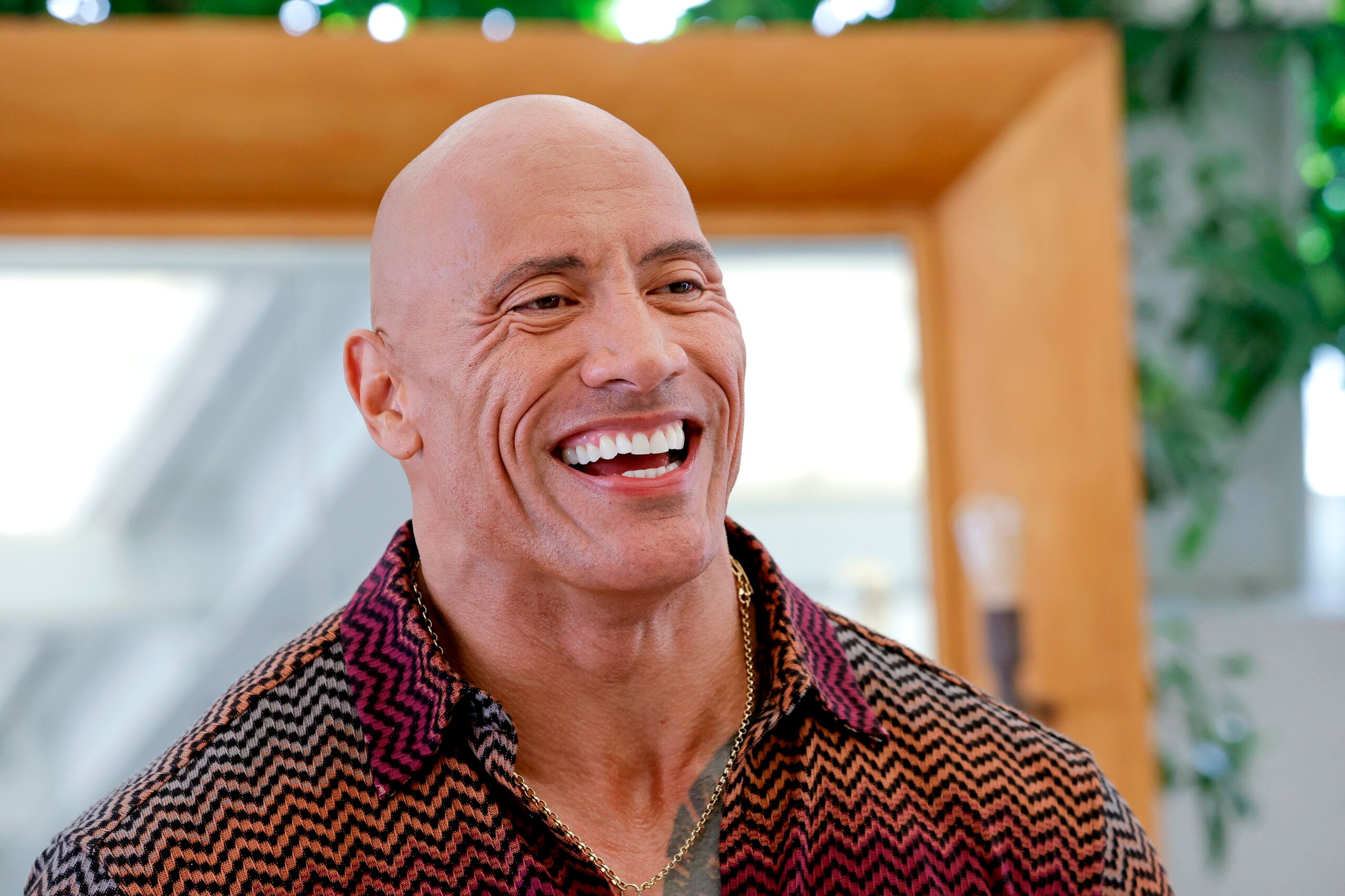 Dwayne 'The Rock' Johnson: WWE legend wants to help Tyson Fury cross ...