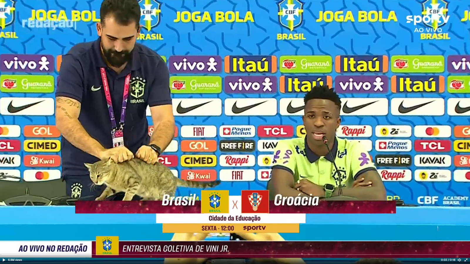 World Cup: Brazil press officer slammed for treatment of cat