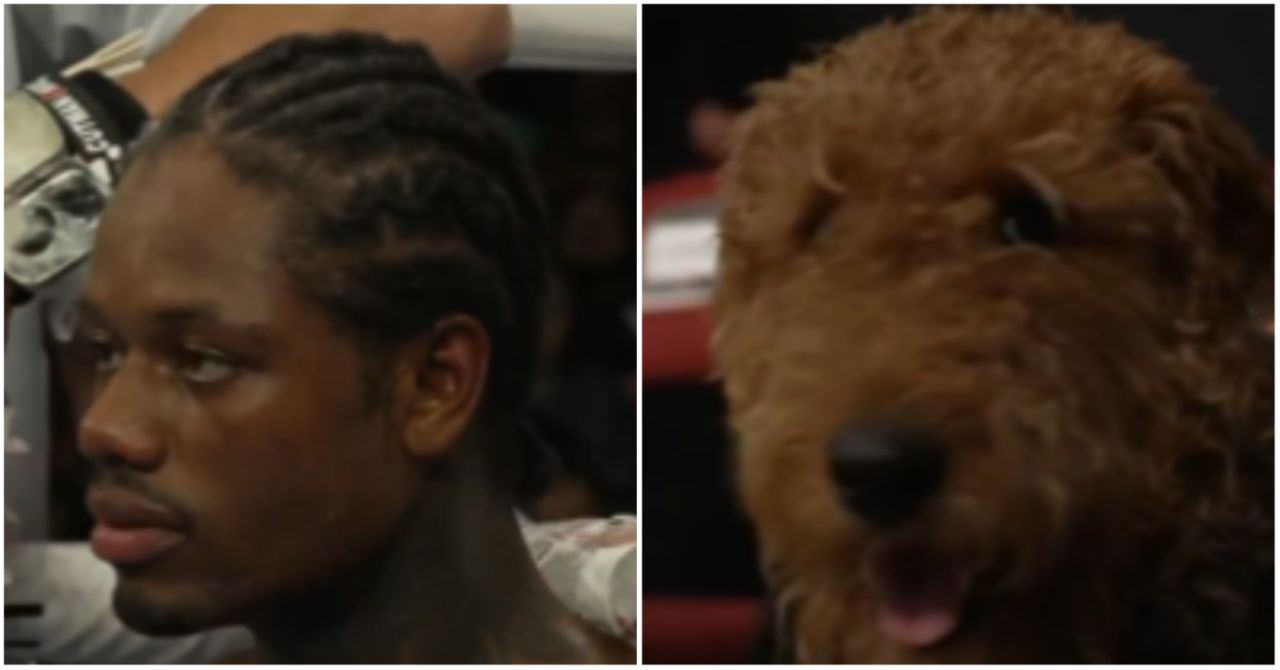 Best boxing ring walk ever? Boxer escorted to the ring by his dog in ...