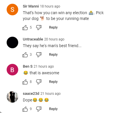 Best boxing ring walk ever? Boxer escorted to the ring by his dog in ...