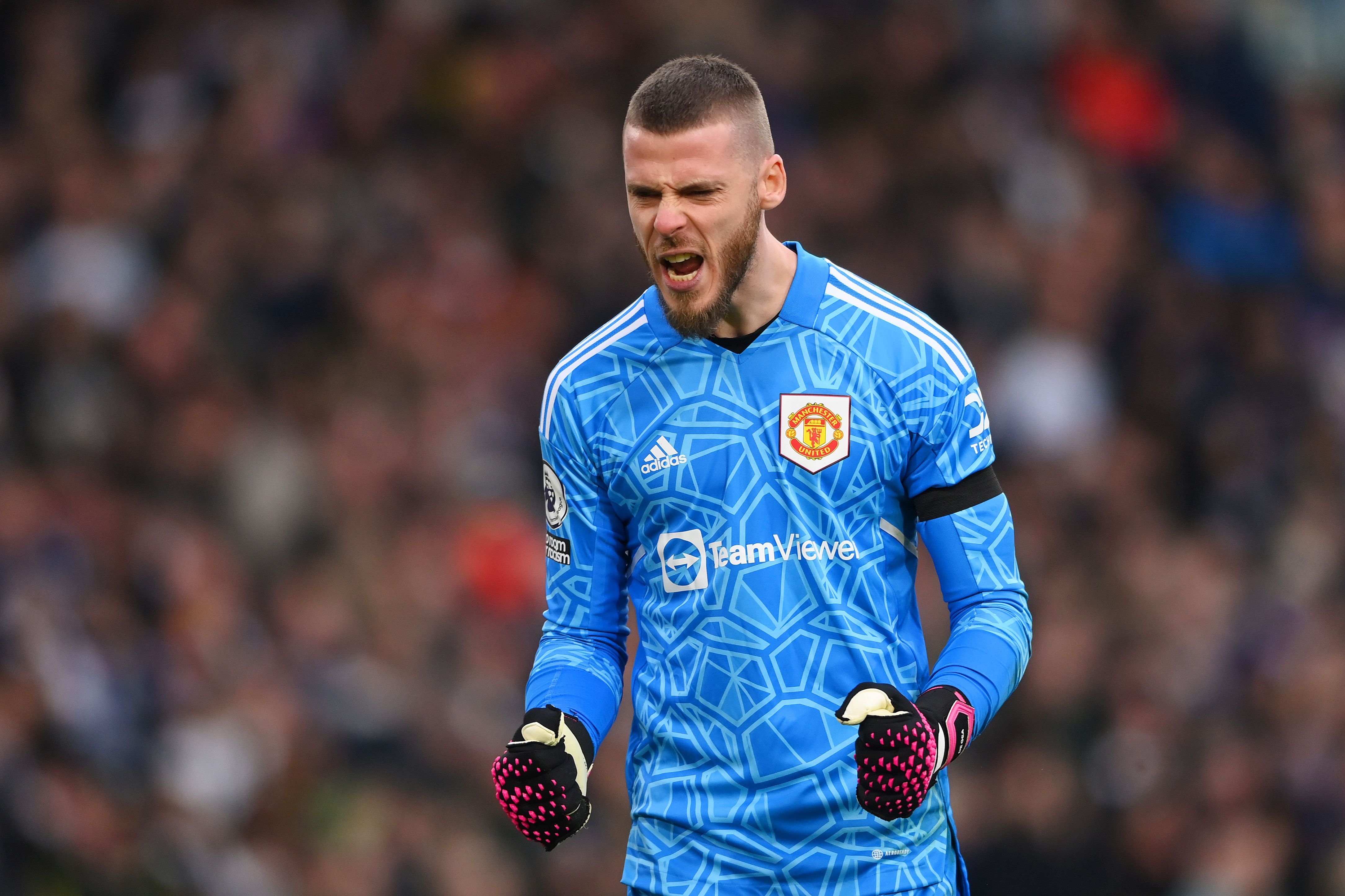 Man Utd: Did David de Gea ignore Glazers after Carabao Cup win?