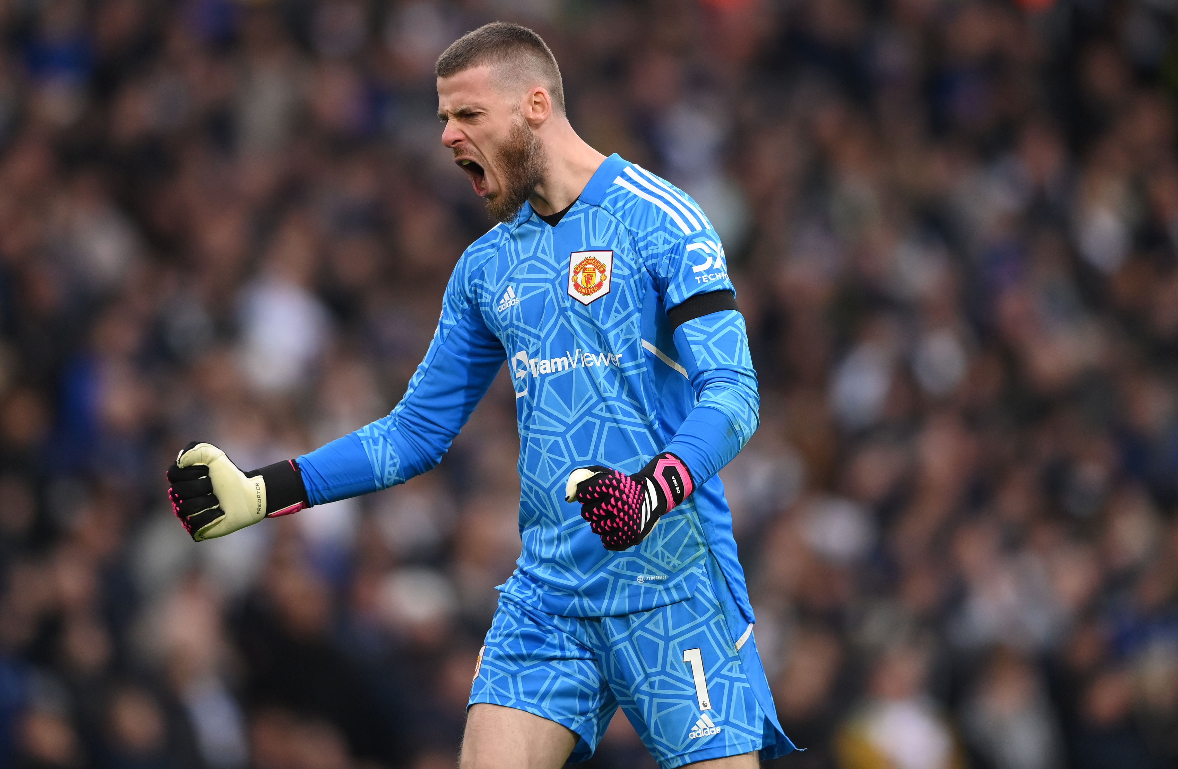 David de Gea tweets after footage of Man Utd star rattling Leeds fans ...