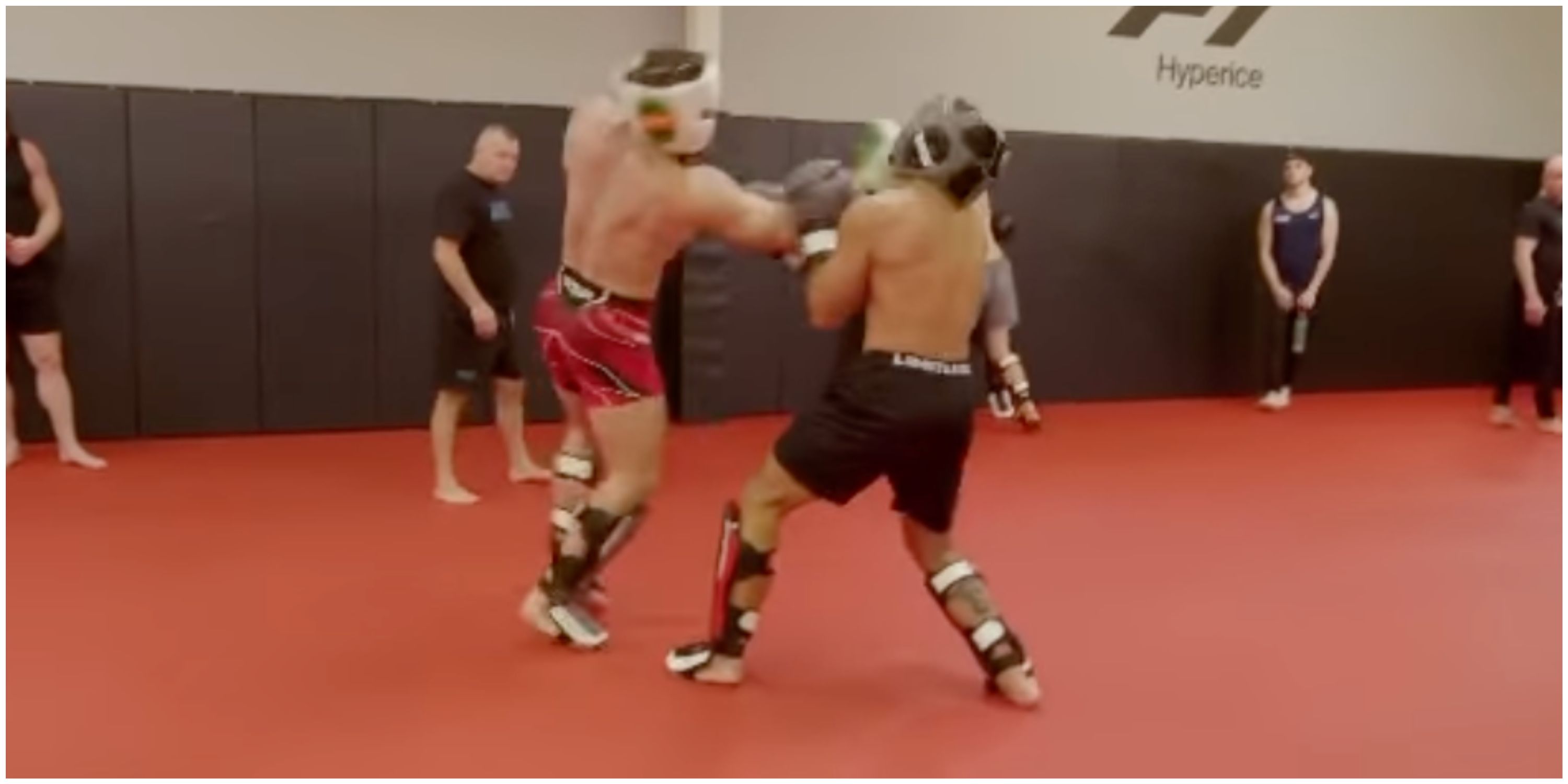 Conor McGregor torn apart by UFC fans after posting new sparring footage