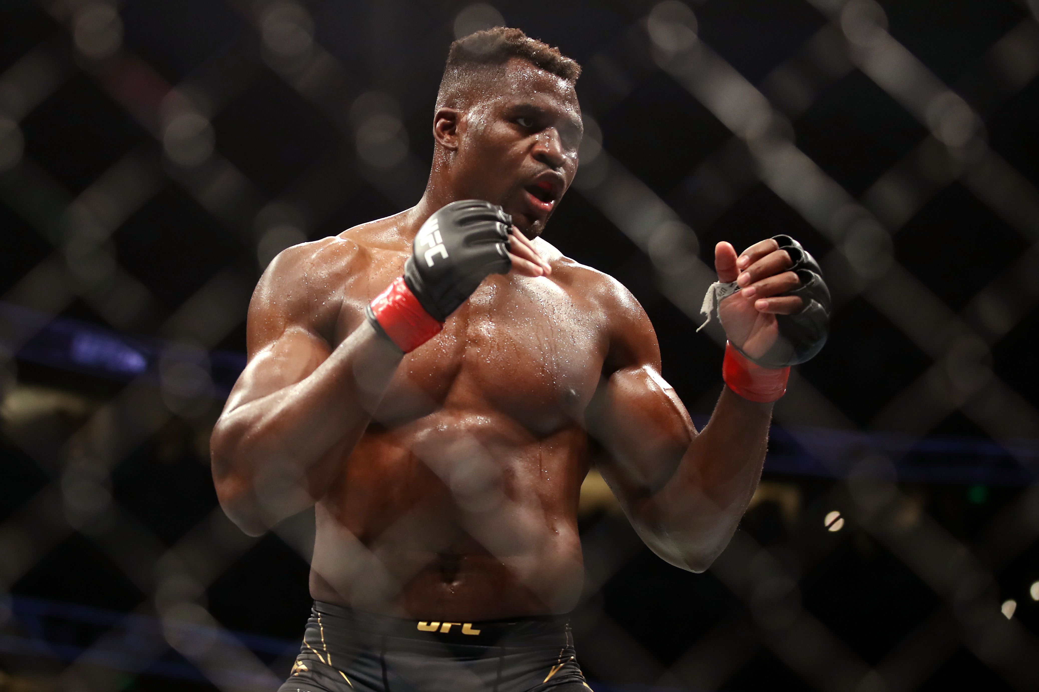 Francis Ngannou training footage with Mike Tyson emerges ahead of Tyson ...
