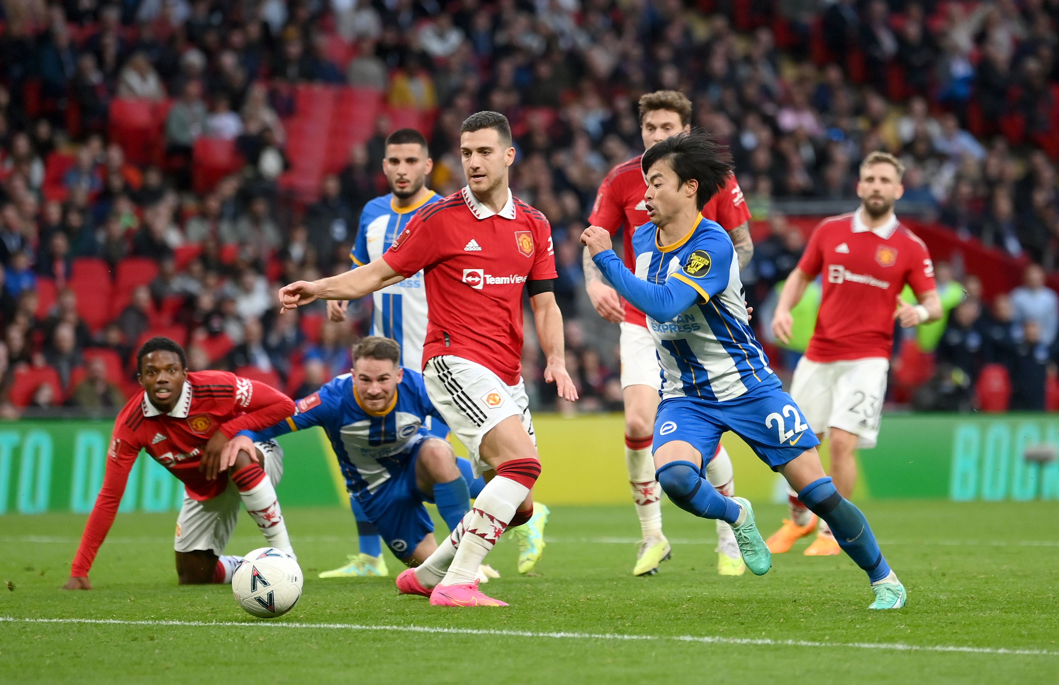 Brighton: Roberto De Zerbi's expected XI on the opening day at Amex Stadium