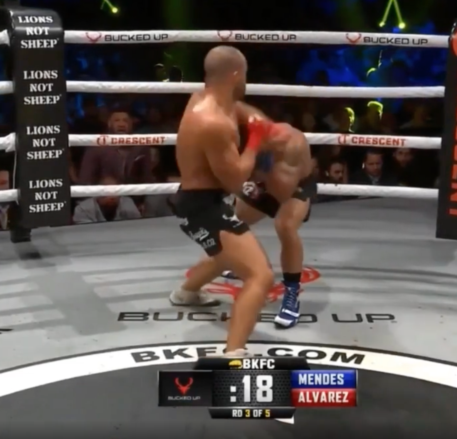 Conor McGregor goes viral for ringside instructions during Alvarez vs ...