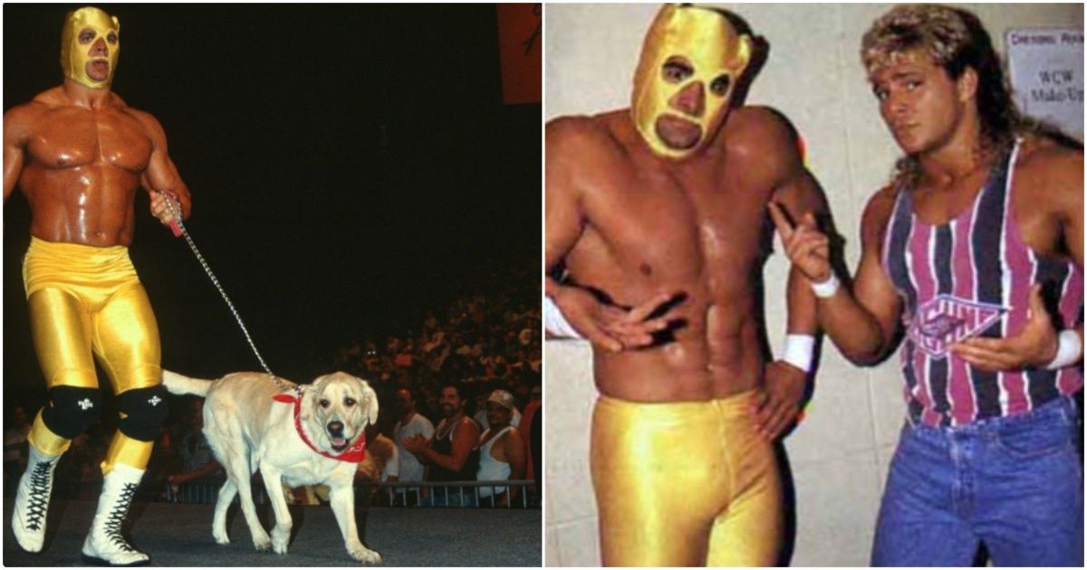 The Top 10 Funniest and Weirdest Wrestling Gimmicks Of All Time