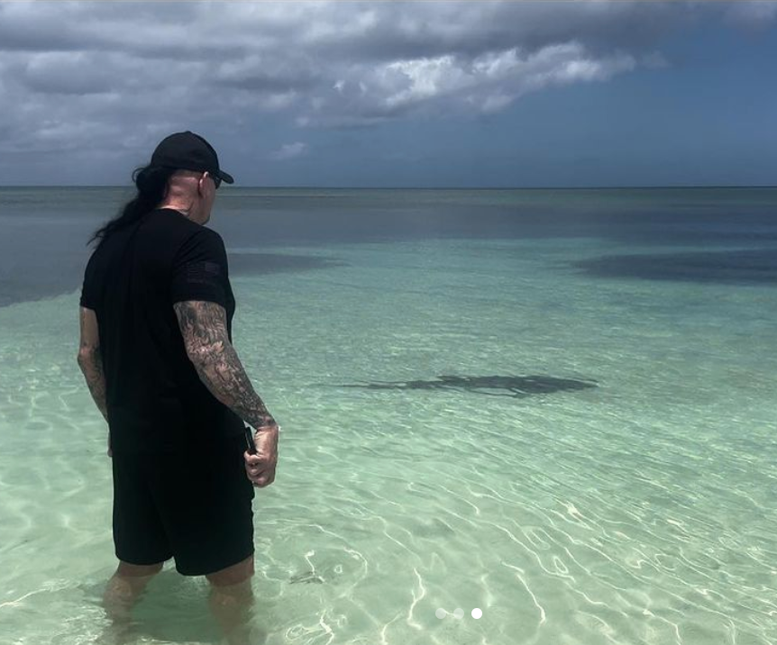 WWE: The Undertaker steps in to save his wife from a shark