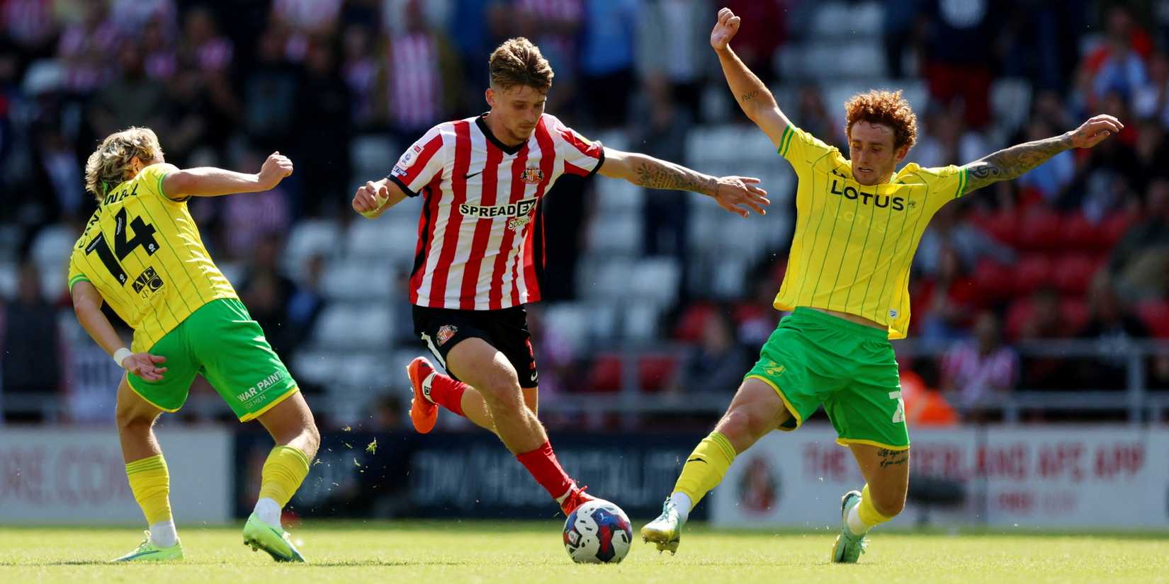Tottenham Eyeing Move to Sign Sunderland Star in 2026