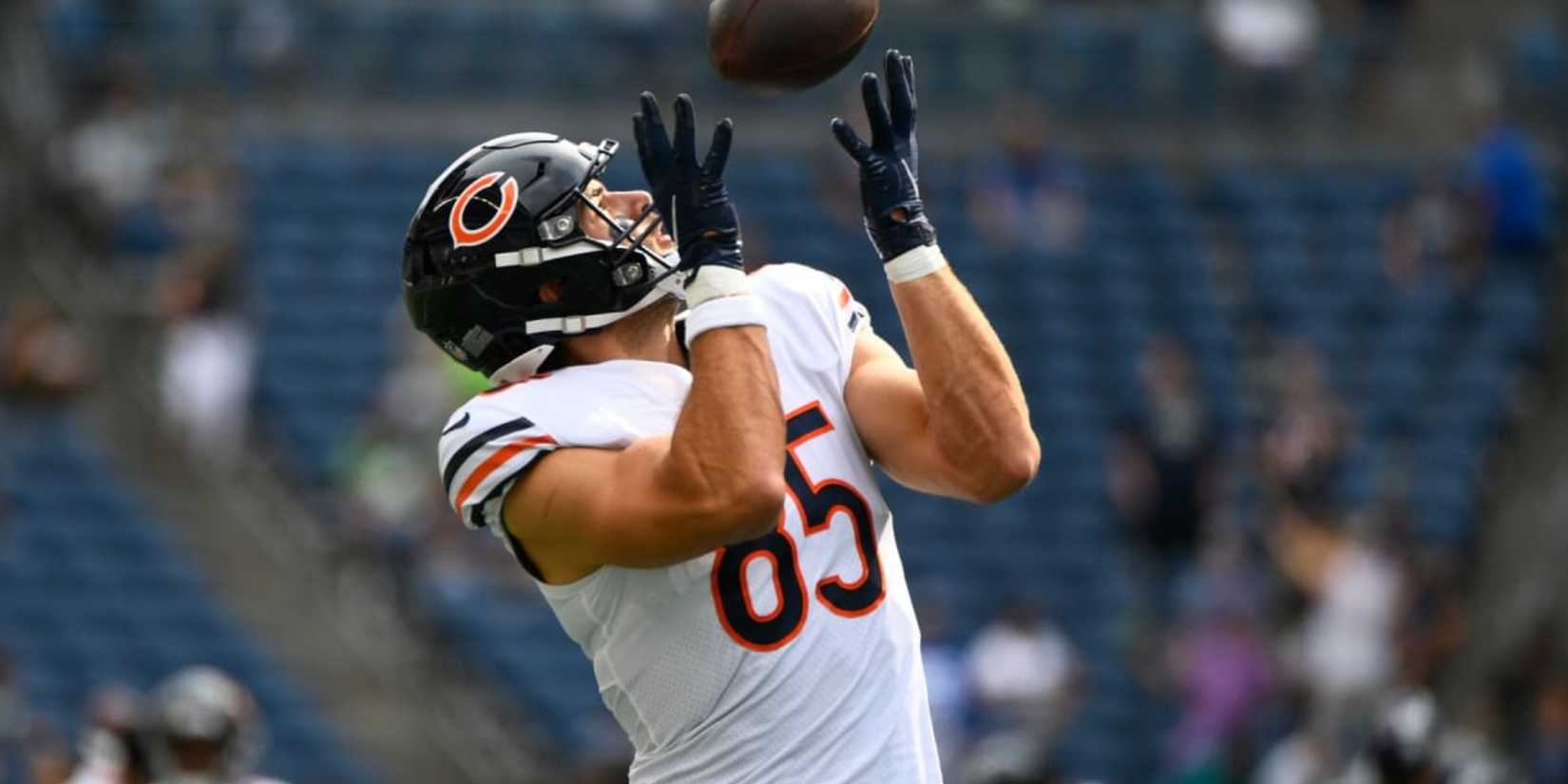 Top 11 Moves of Ryan Poles' Career As Bears GM—So Far