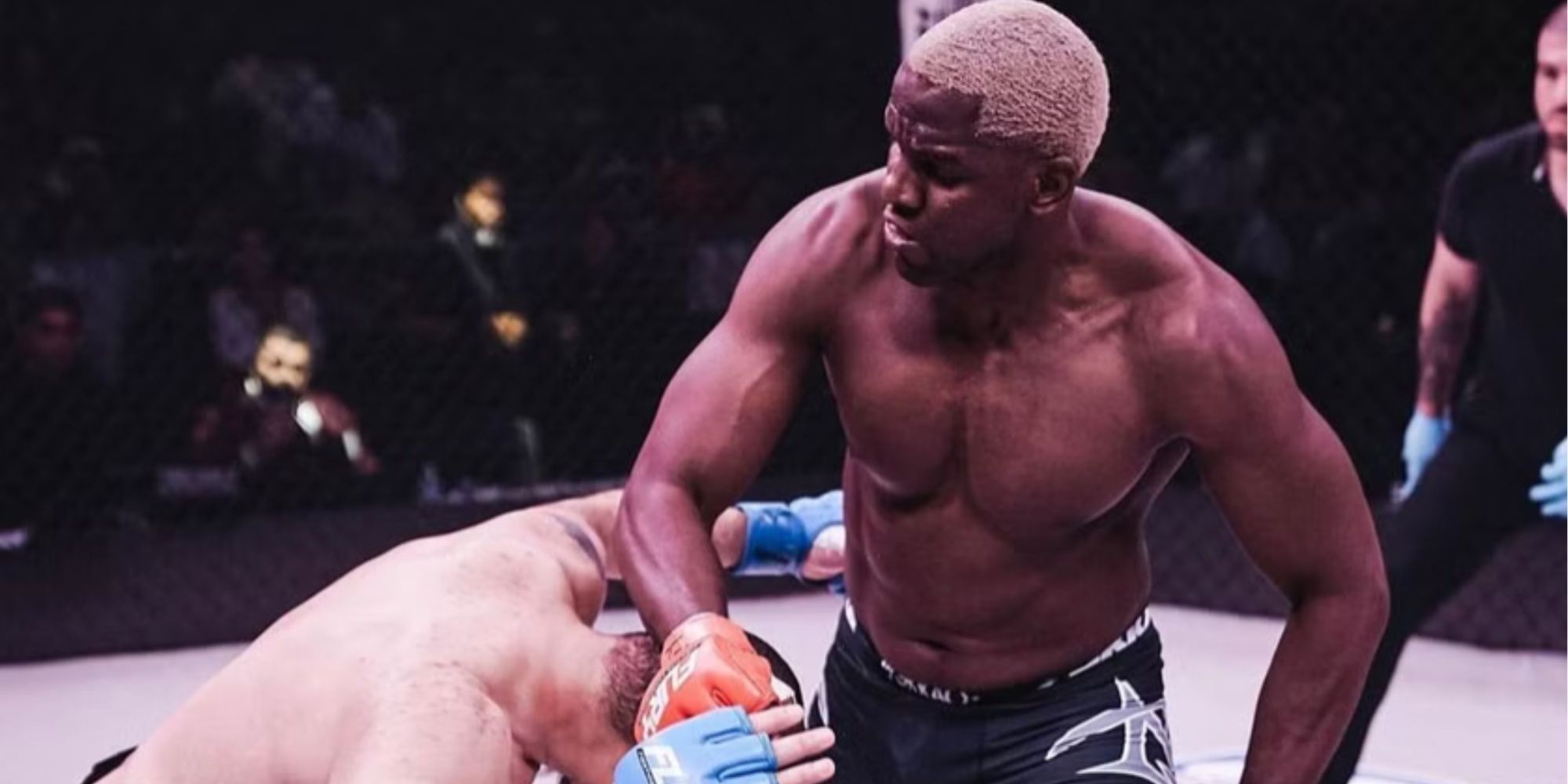 Ufc Heavyweight Fight