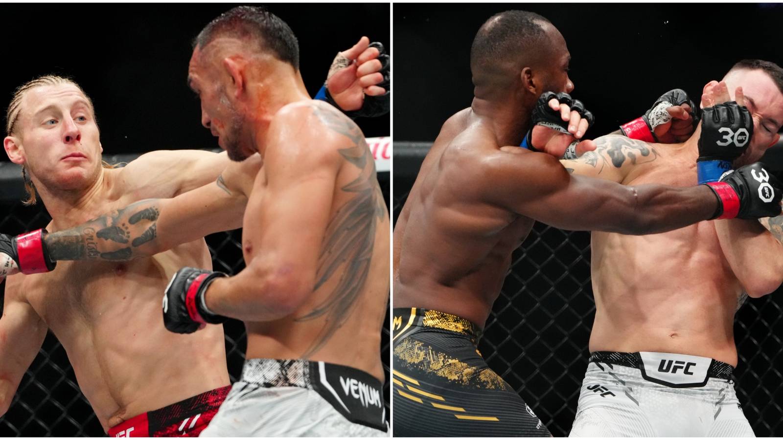 Next steps and fights for UFC 296 winners and losers