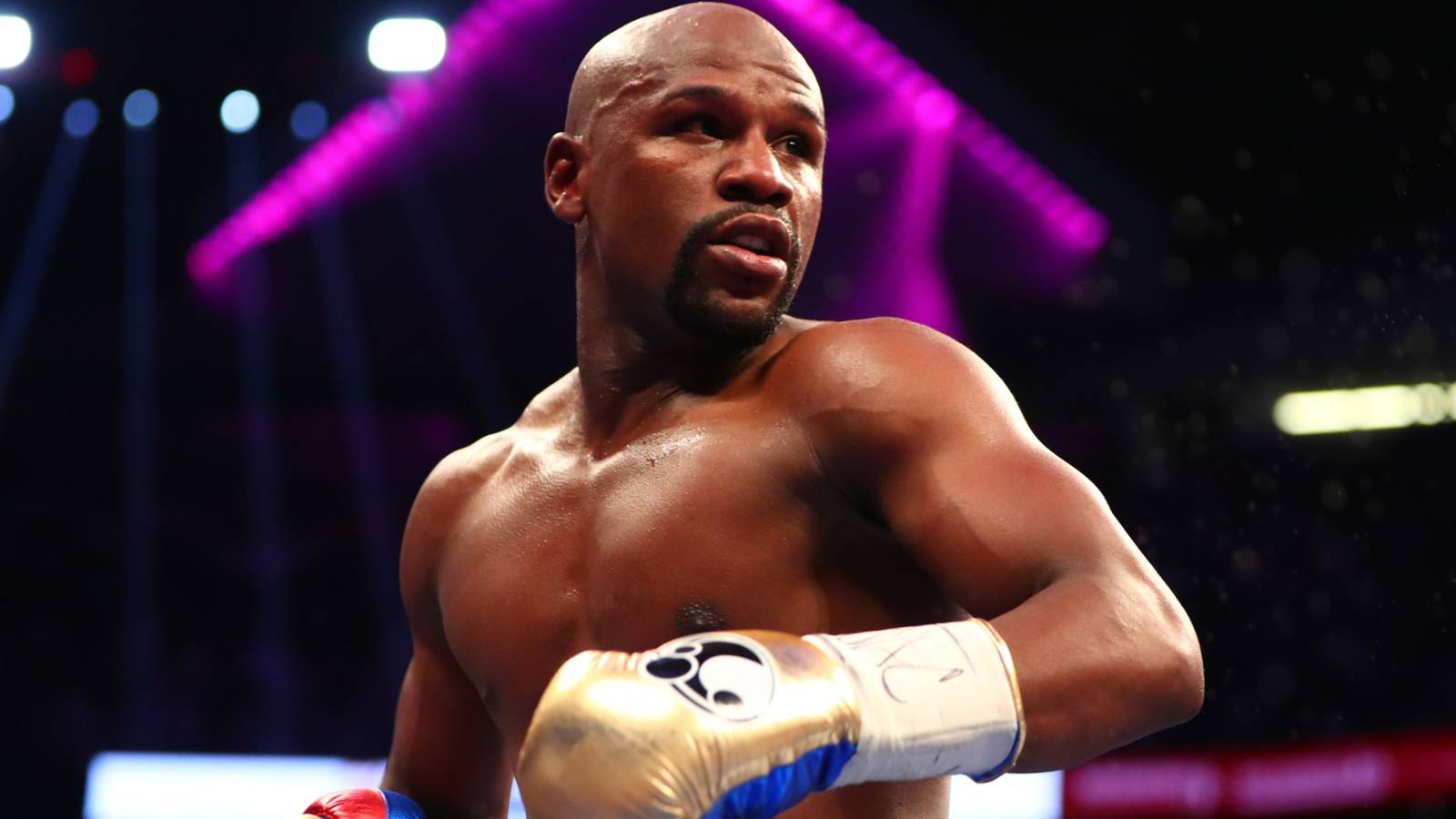 Floyd Mayweather net worth 2024 including boxing earnings, purses ...