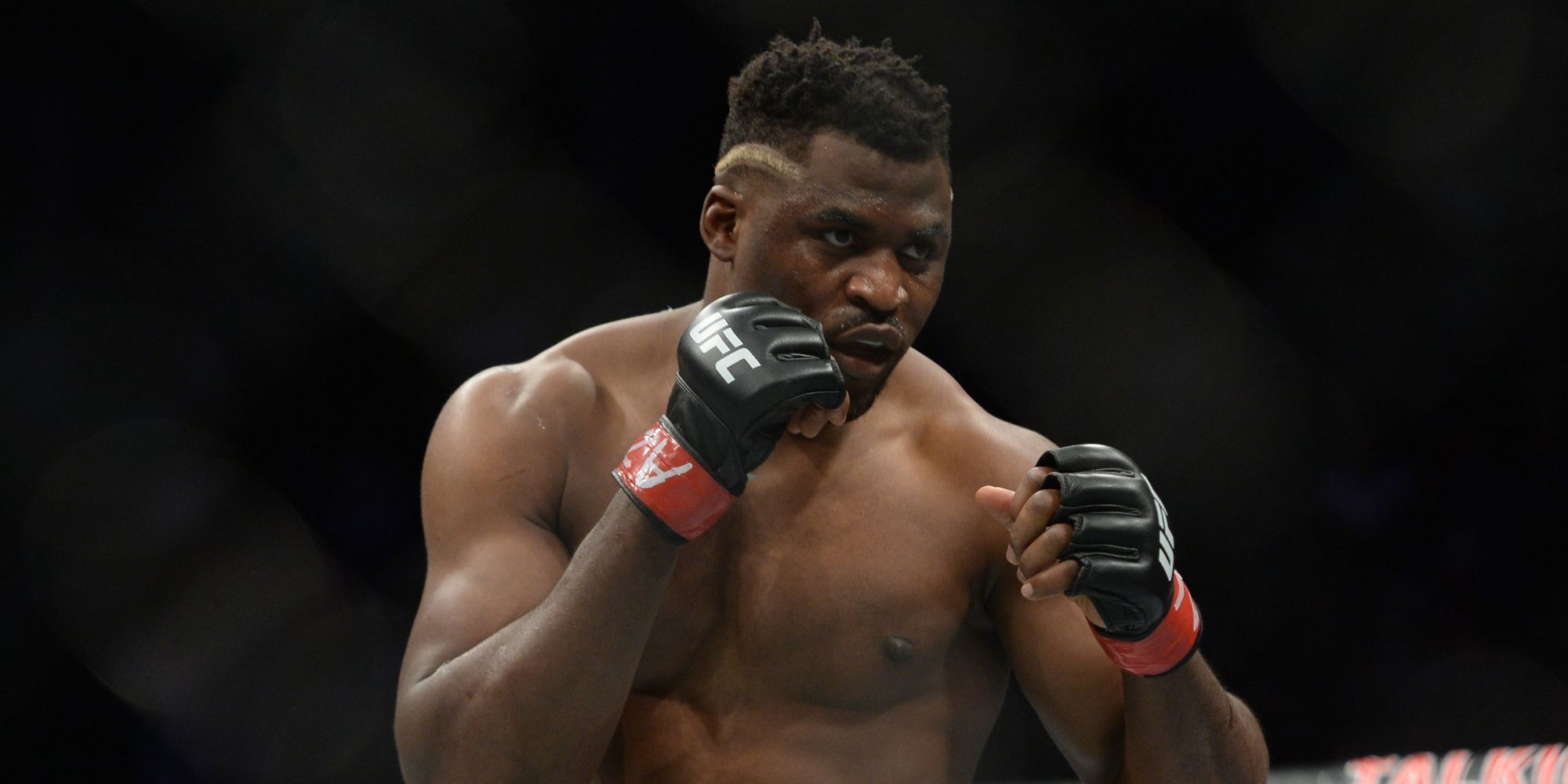 Francis Ngannou's Net Worth (2024) Including UFC & Boxing Earnings