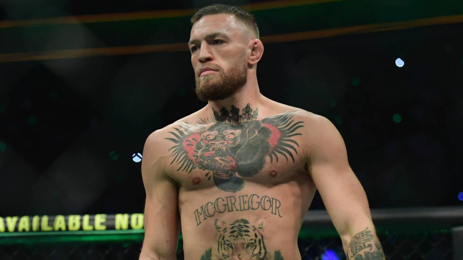Conor McGregor Parties With Fans Hours Before Start of UFC 303 Camp