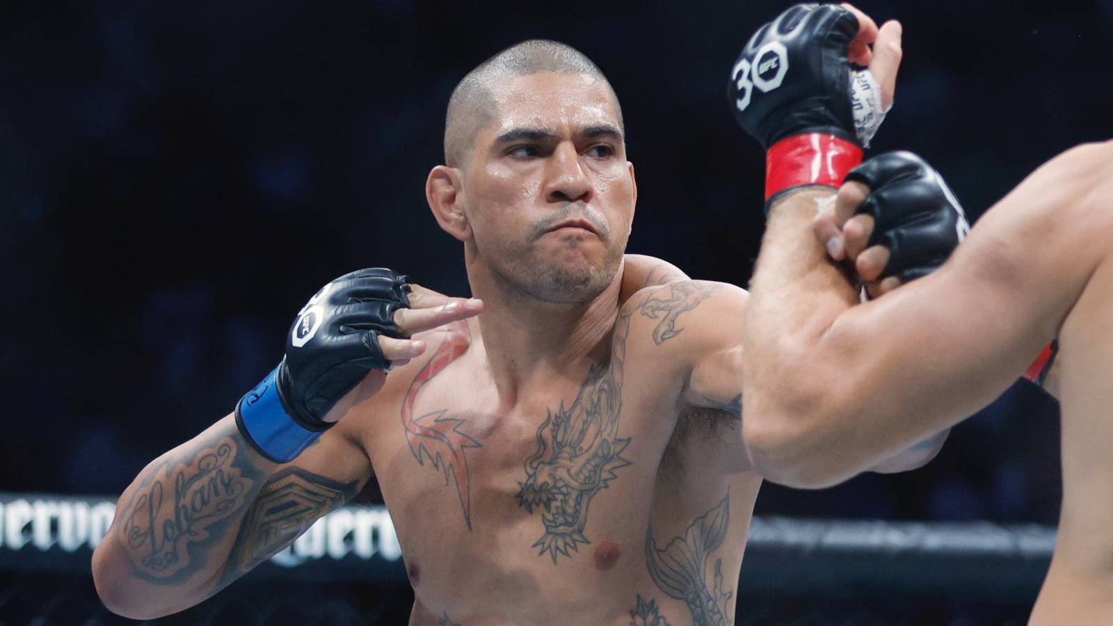 Alex Pereira Sparring Heavyweight Boxer Ahead of UFC 303