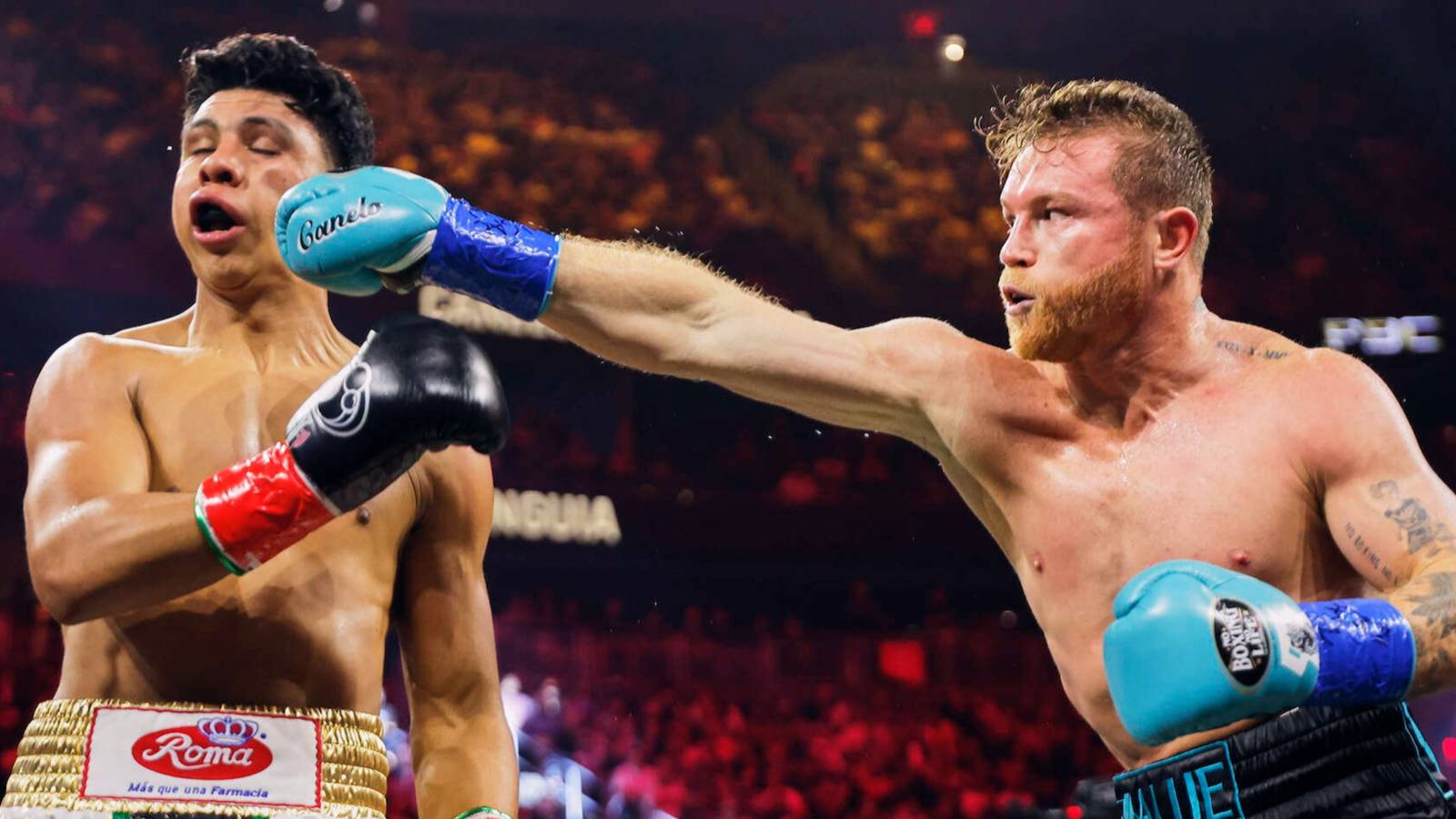 Canelo Alvarez Gets a Win And A Loss on The Same Night