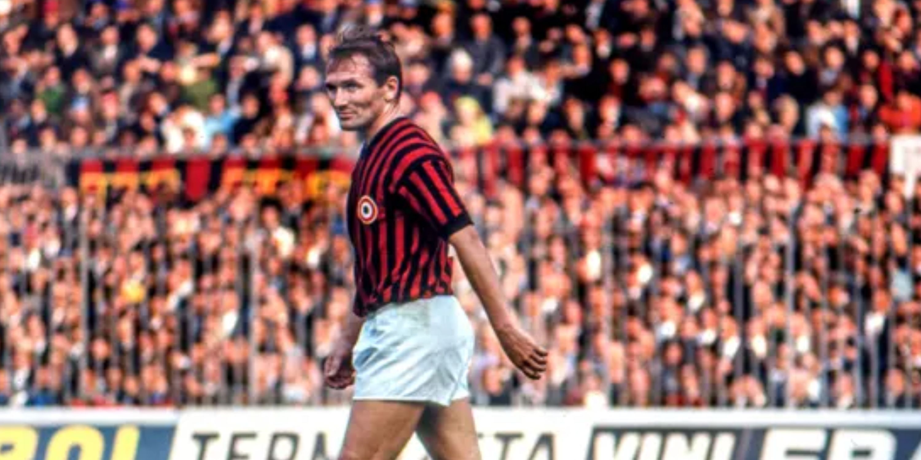 15 Greatest Swedish Players in Football History [Ranked]