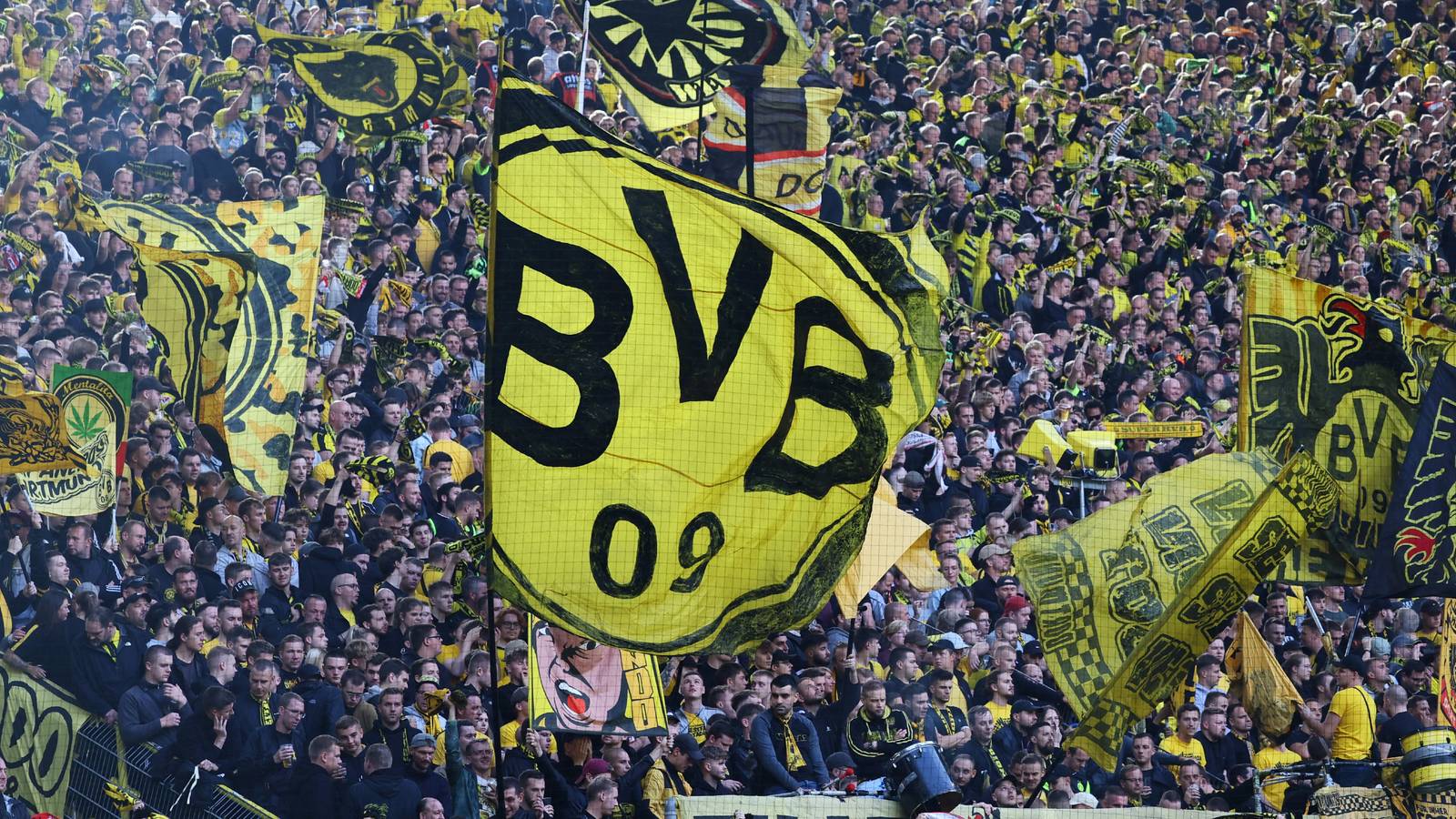 British Woman Left 'Truly Humiliated' Refuses Borussia Dortmund Apology