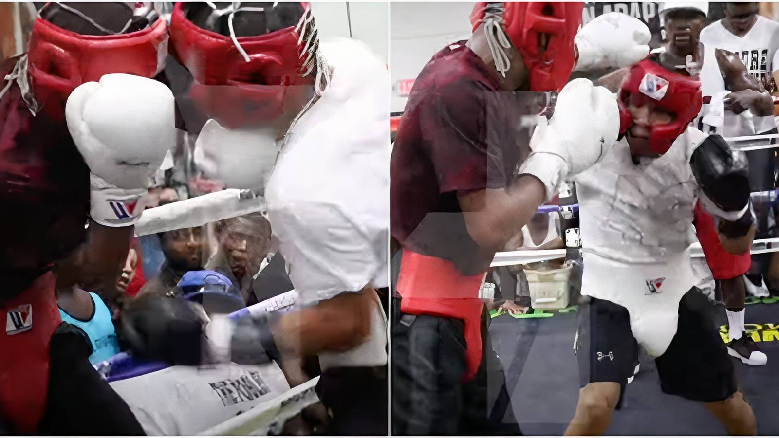 Floyd Mayweather Shares Full Gervonta Davis Vs Devin Haney Sparring Video