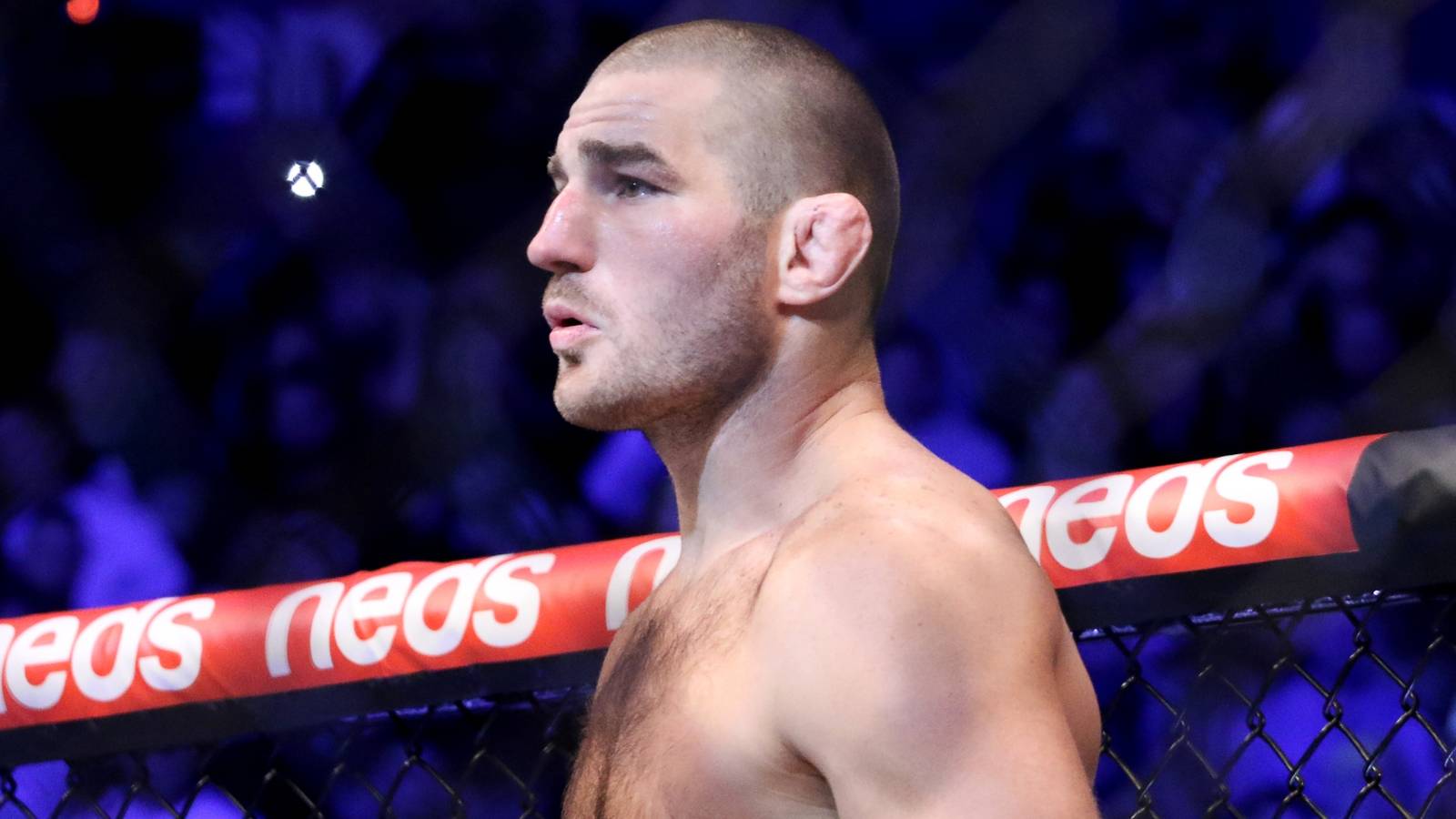 Charlie Kirk: UFC Fighter Sean Strickland Posts Video of His Reaction
