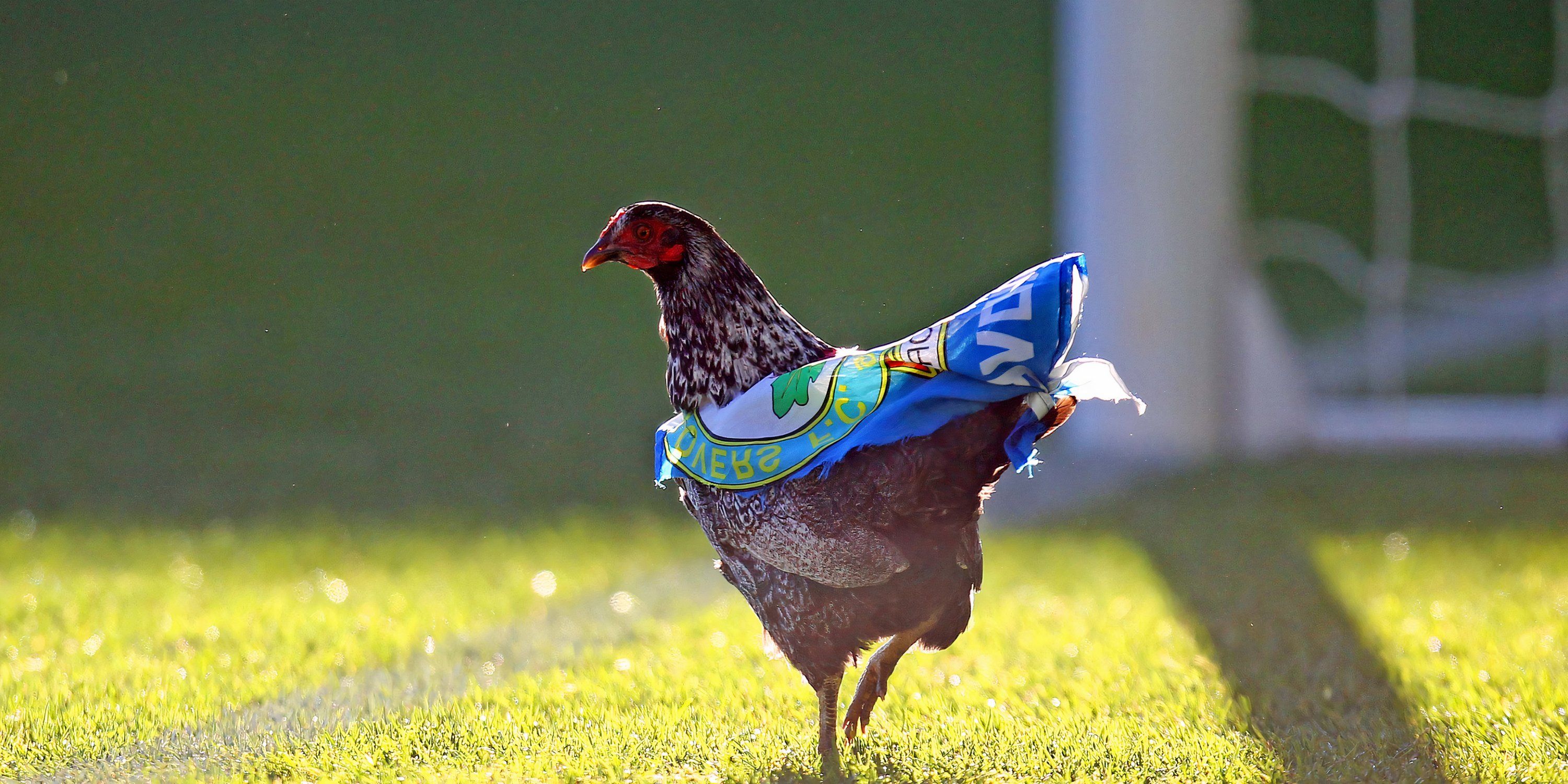 8 Strangest Match Postponements in Football History (Ranked)