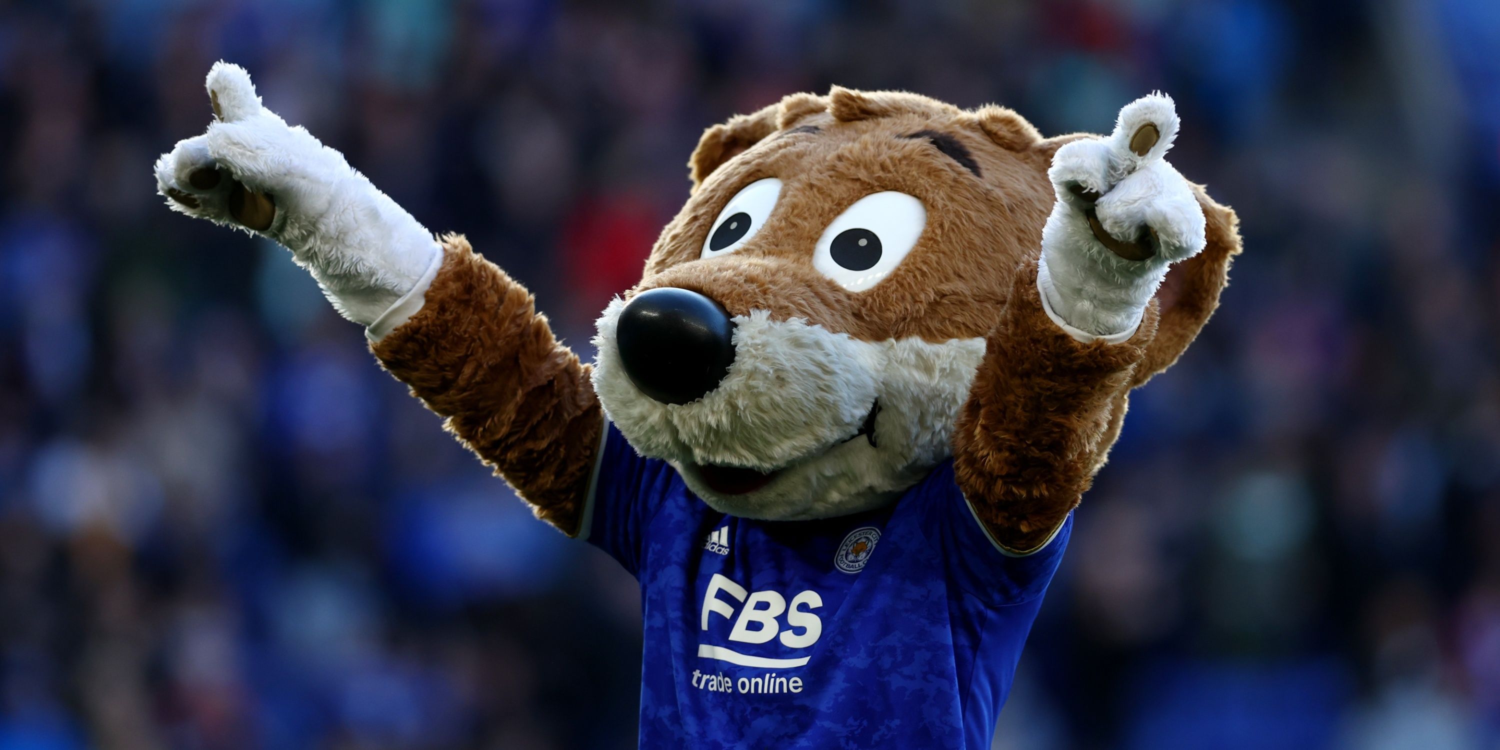 Every Premier League Mascot Ranked From Worst to Best