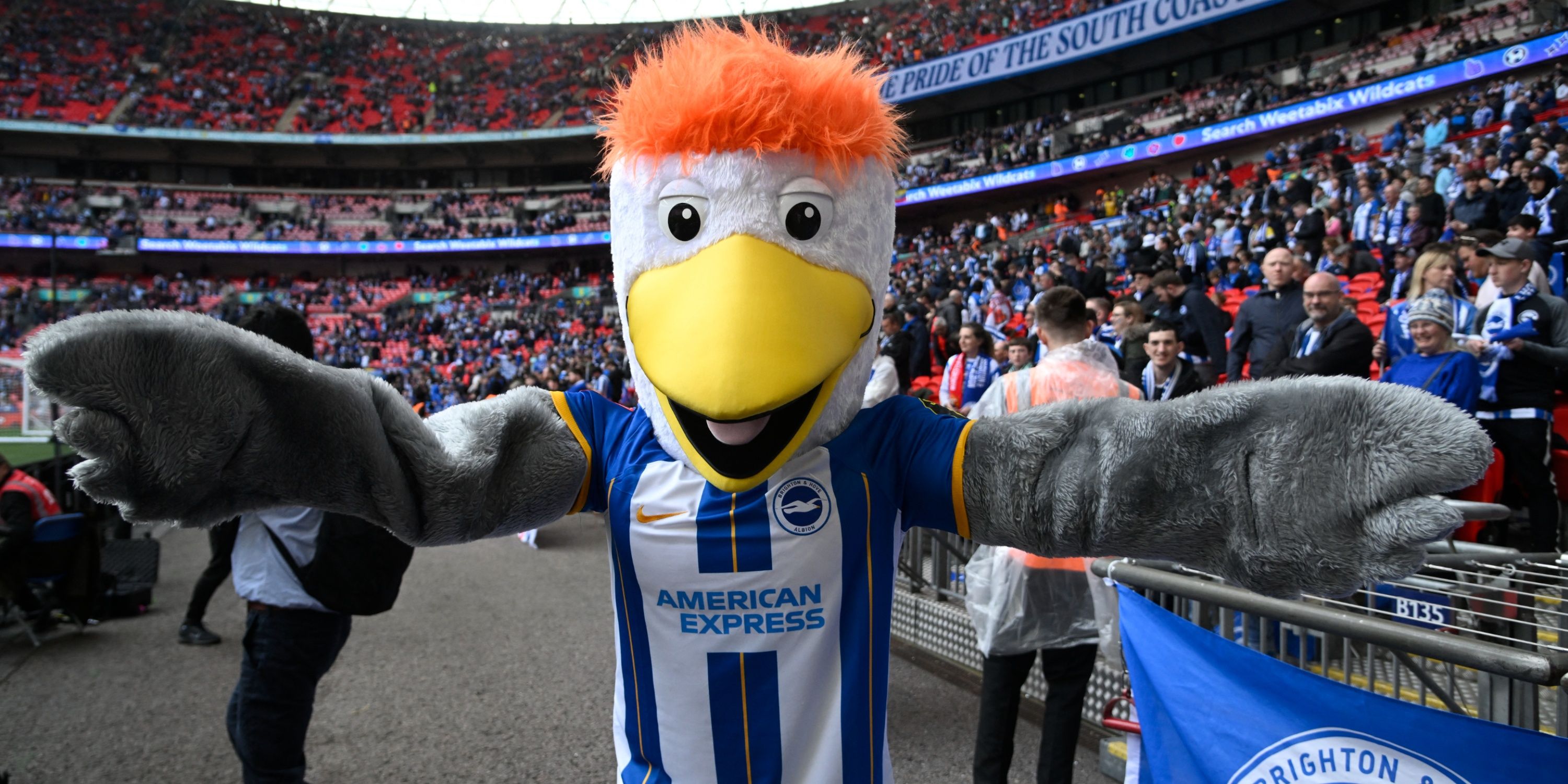 Every Premier League Mascot Ranked From Worst to Best
