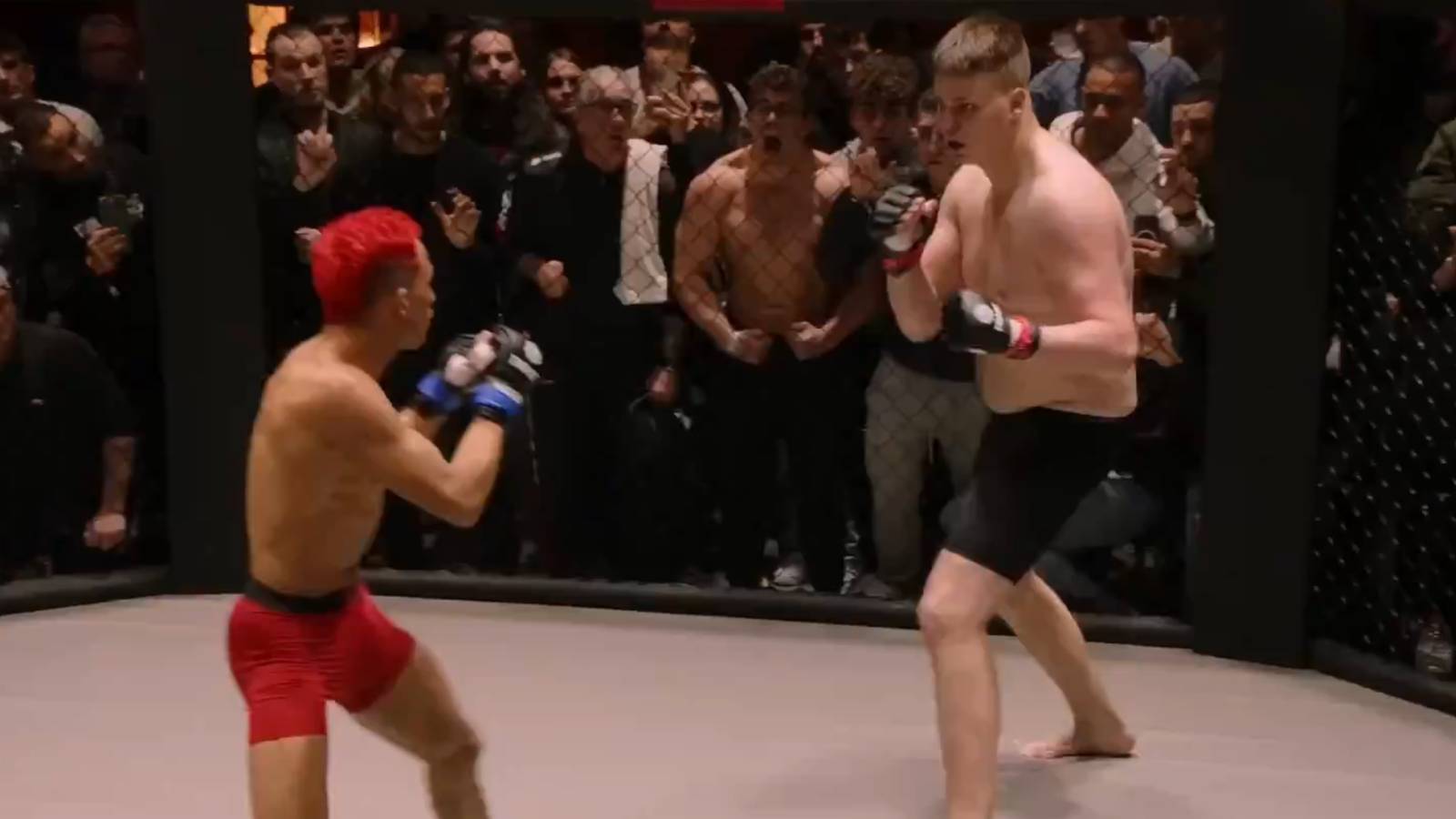 6ft 8 Heavyweight MMA Fighter Fights 5ft 3 Jiu-Jitsu Black Belt
