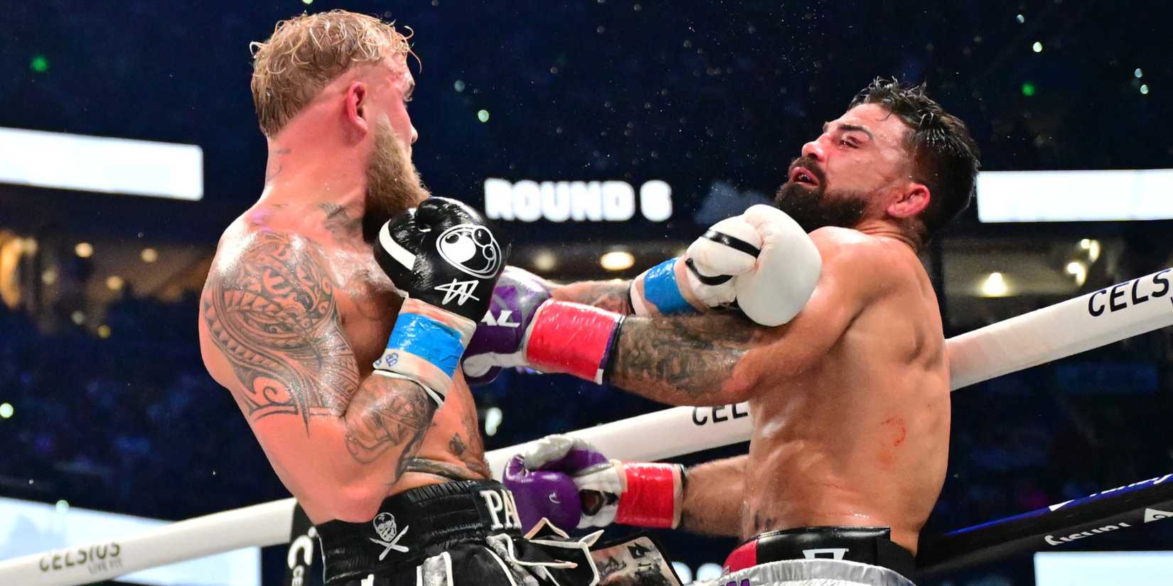 Conor McGregor's Savage Reaction to Jake Paul vs Mike Perry