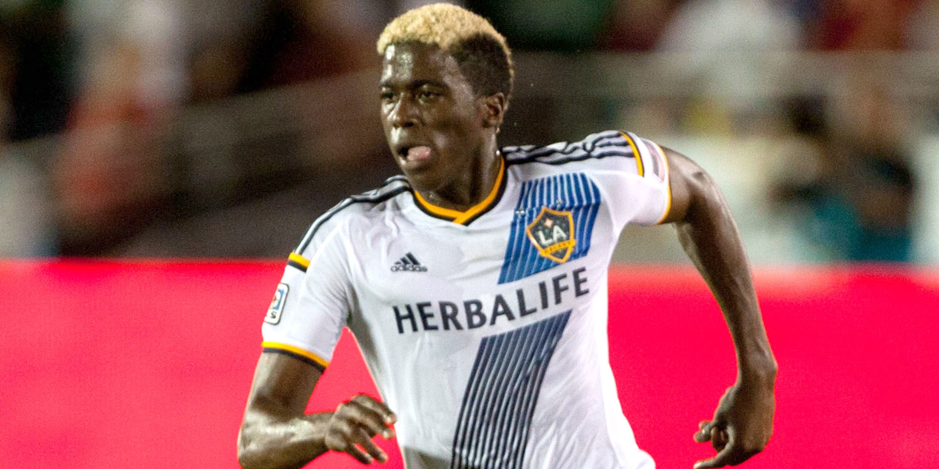 Most Goals in MLS History: All Time Record Scorers Since 1996