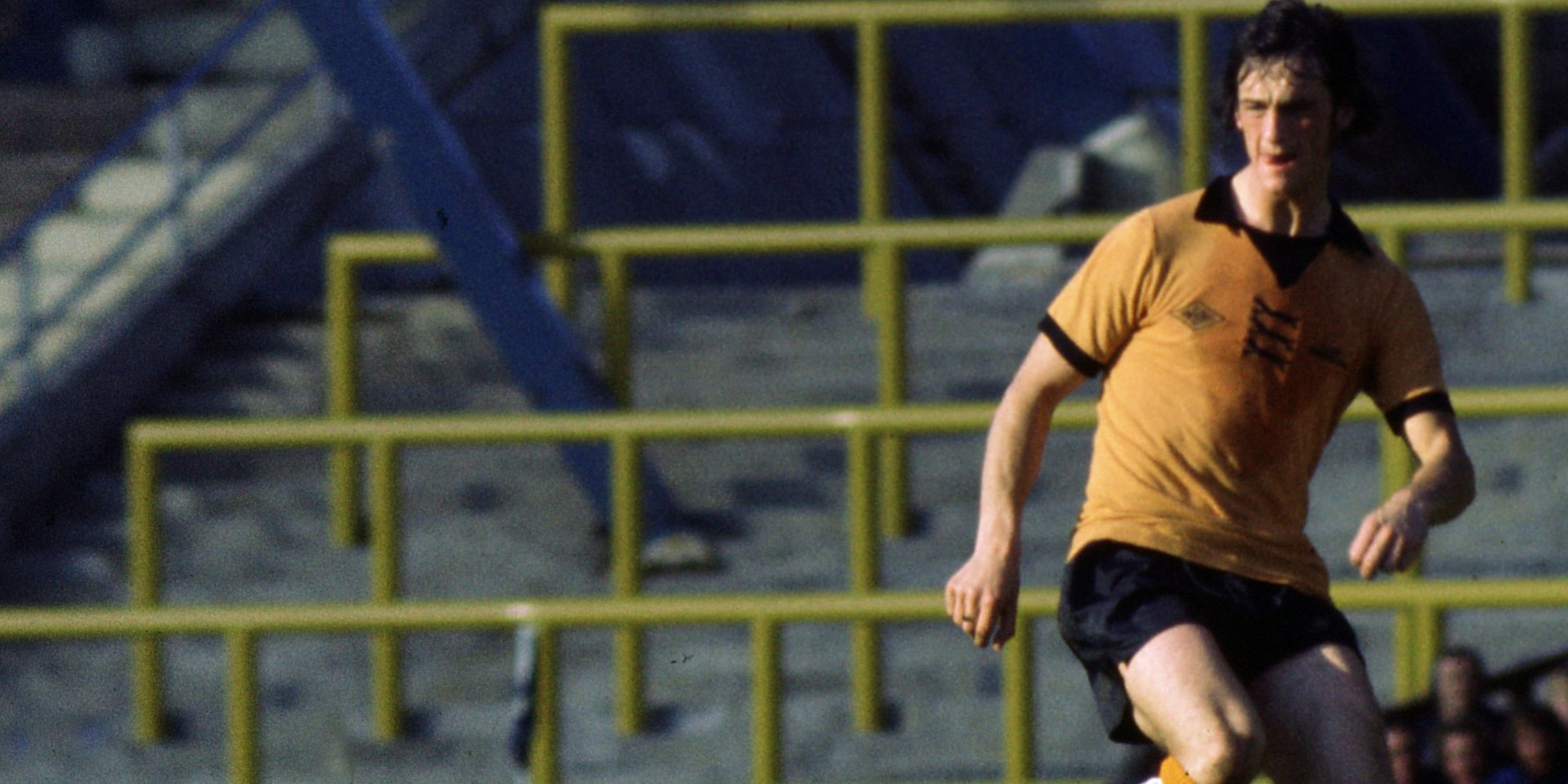 10 Greatest Wolves Signings in Football History [Ranked]