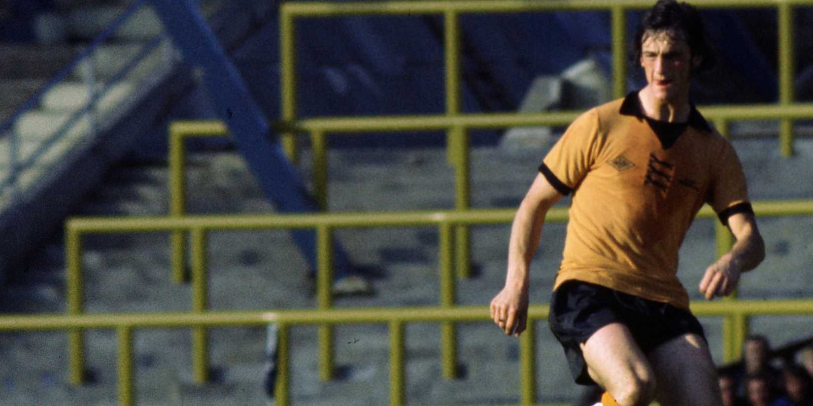 10 Greatest Wolves Signings in Football History [Ranked]
