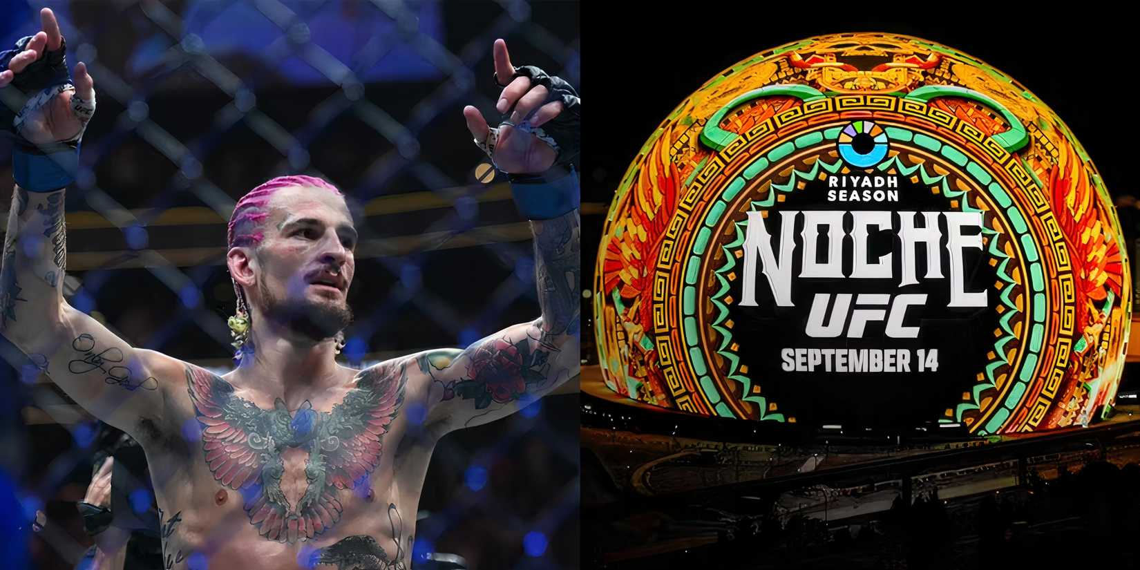 Dana White Predicts 'True' Live Gate For UFC 306