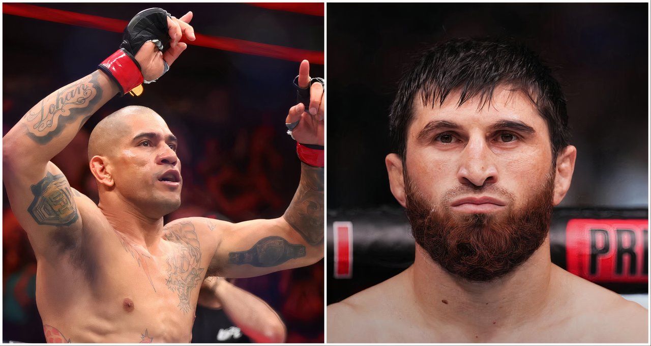 Magomed Ankalaev's Unique Offer to Alex Pereira if he Agrees to Face ...