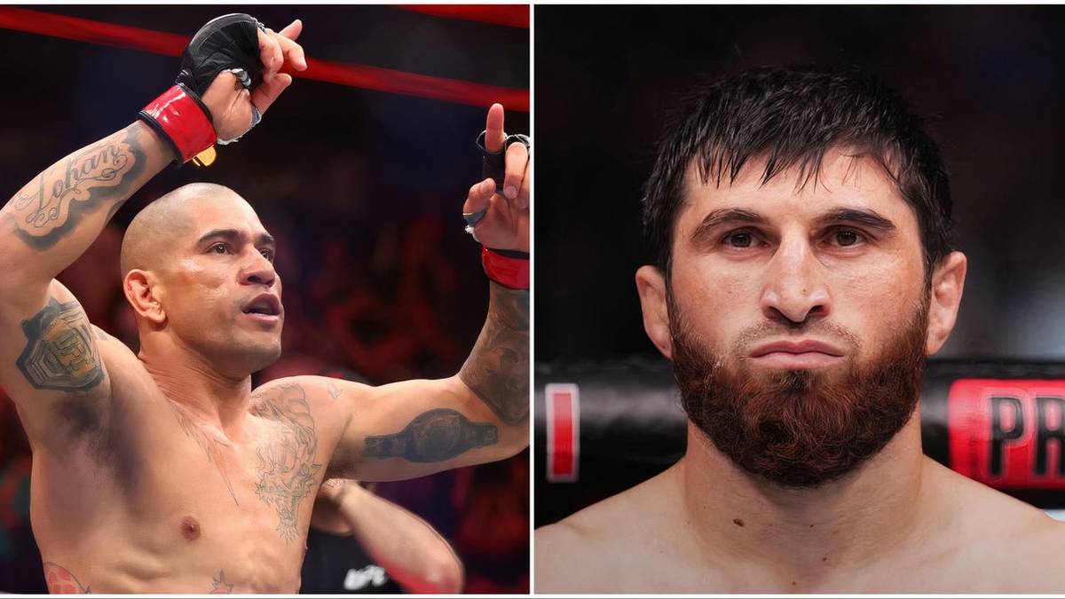 UFC's No.1 Contender is Essentially Calling Alex Pereira a Chicken