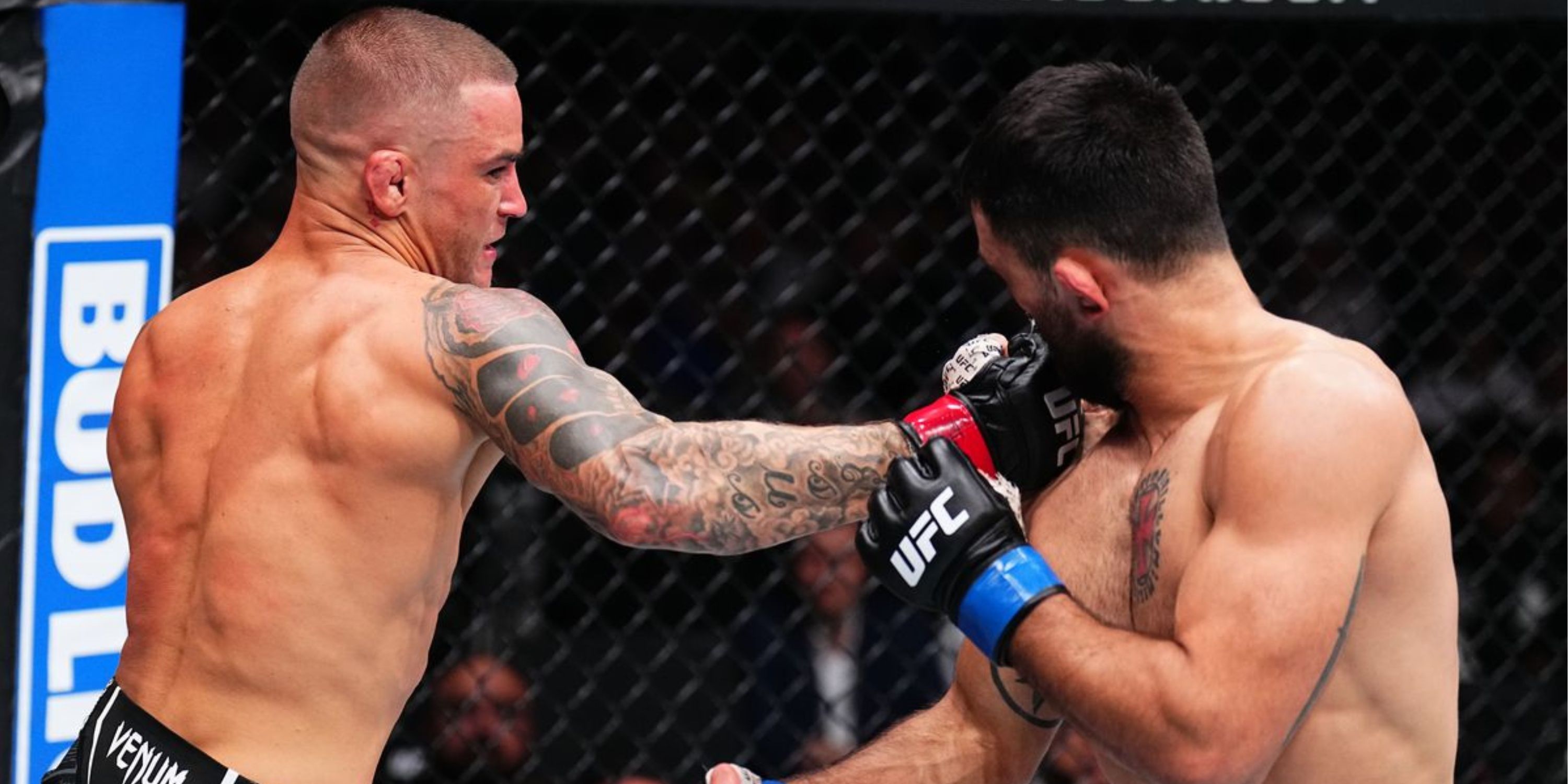UFC's Official Top 5 Fights of 2024 so Far