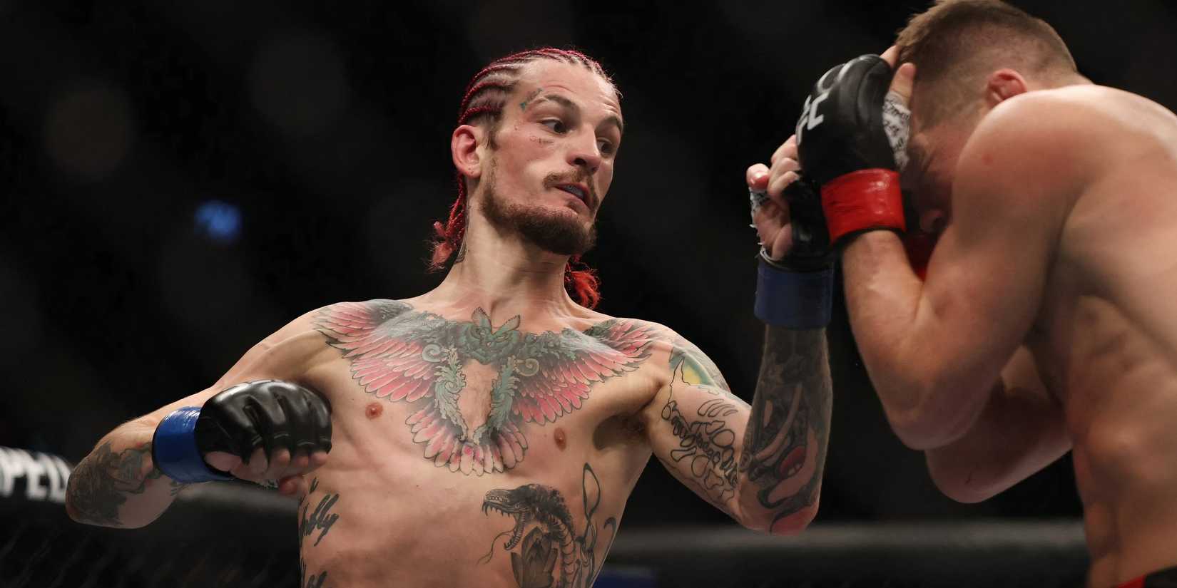Sean O'Malley's 3-Fight Plan Includes Merab KO, Holloway, And Boxing's ...