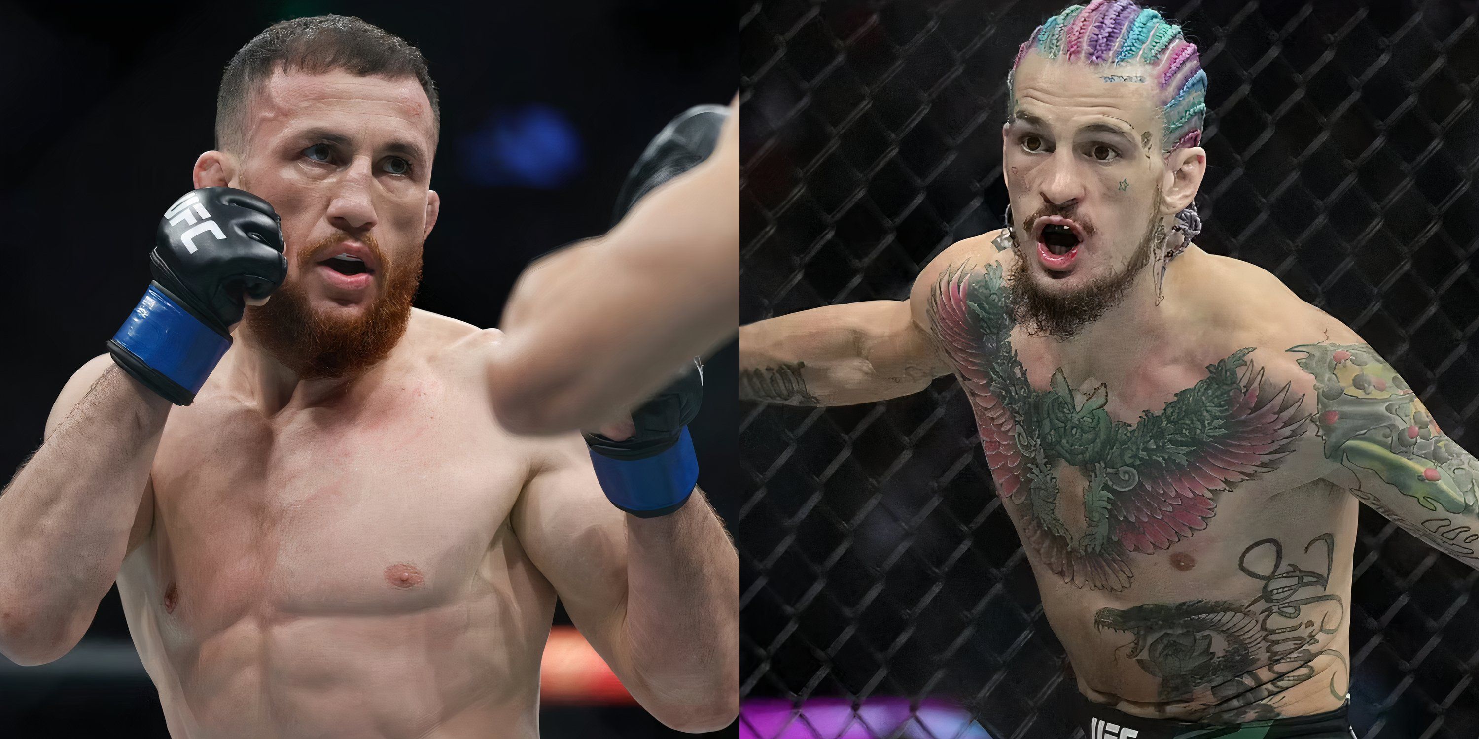 The Huge Cost of Every Test Run Ahead of Noche UFC/UFC 306 Revealed