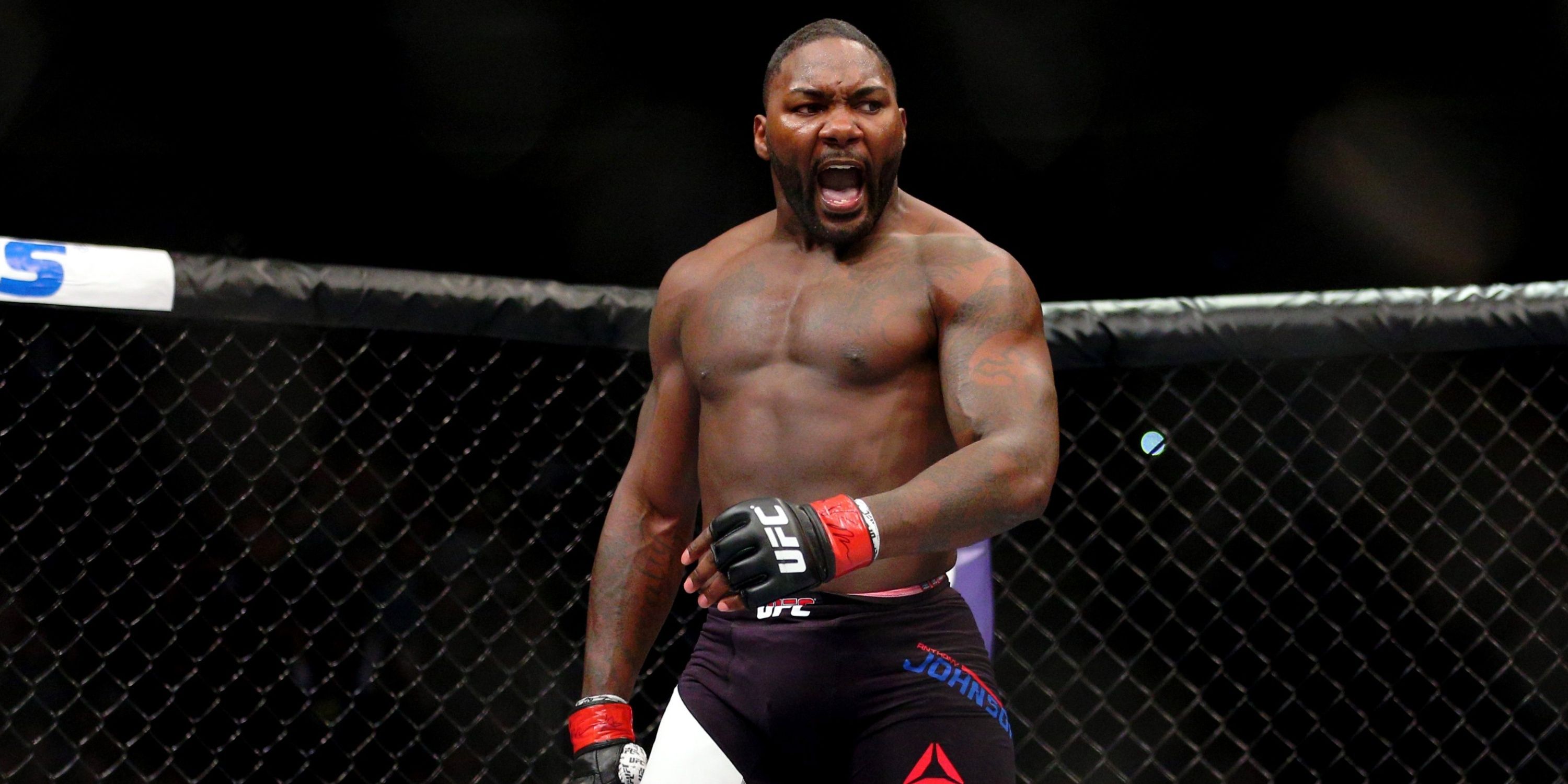 10 Hardest Punchers in UFC History Named