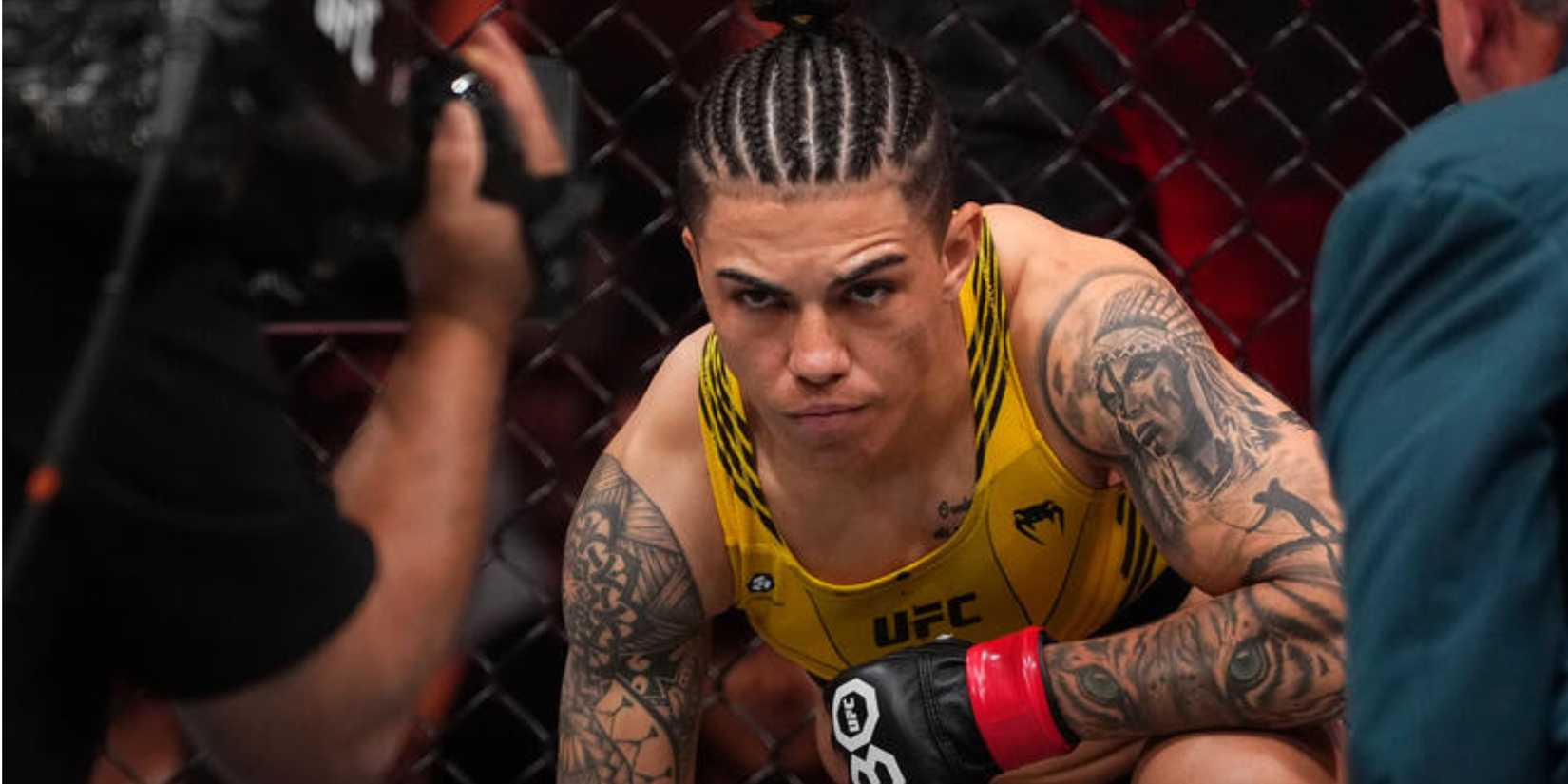 The Hardest Punchers in Every UFC Weight Division